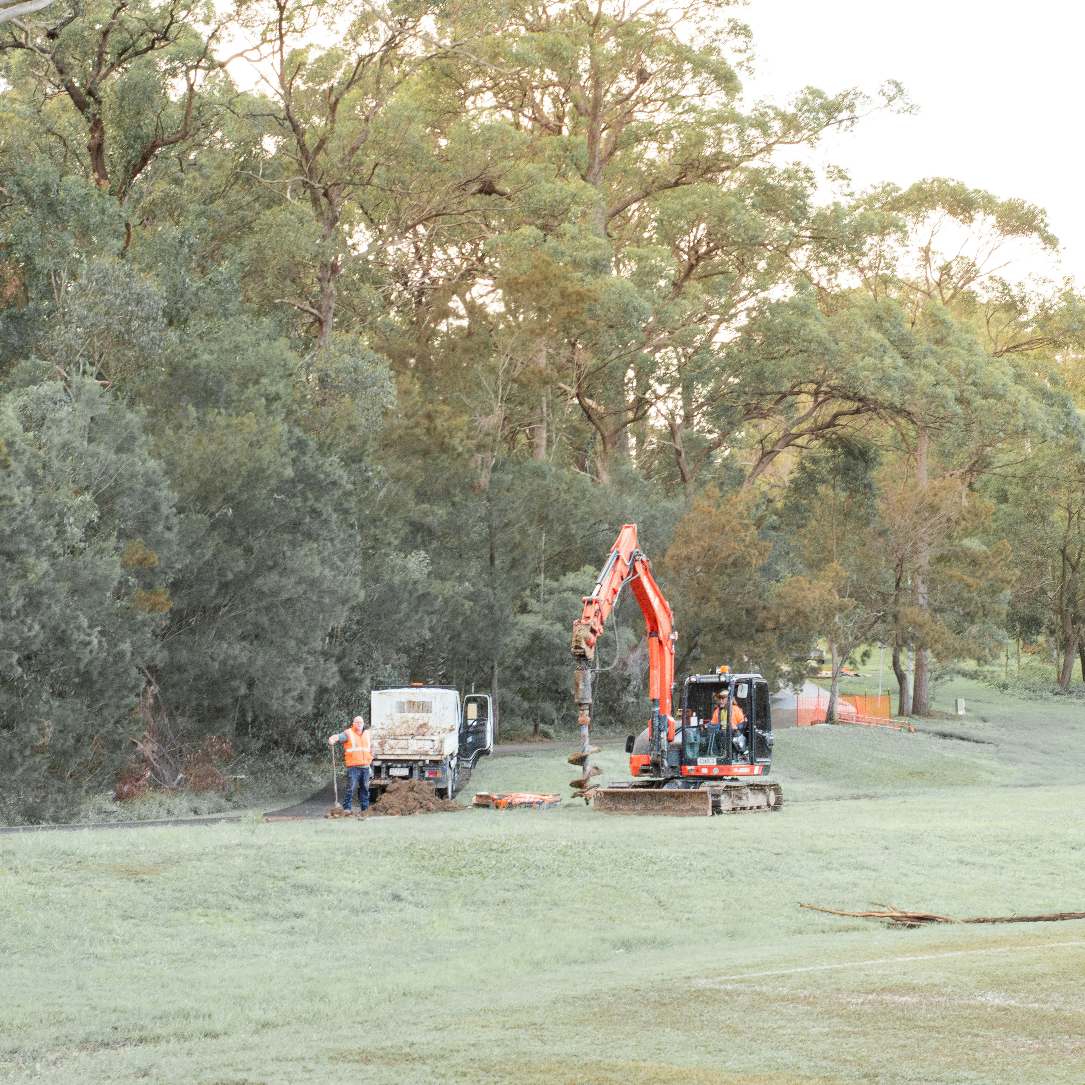 Crane and Crew at Dusk: Fieldwork Amid Trees