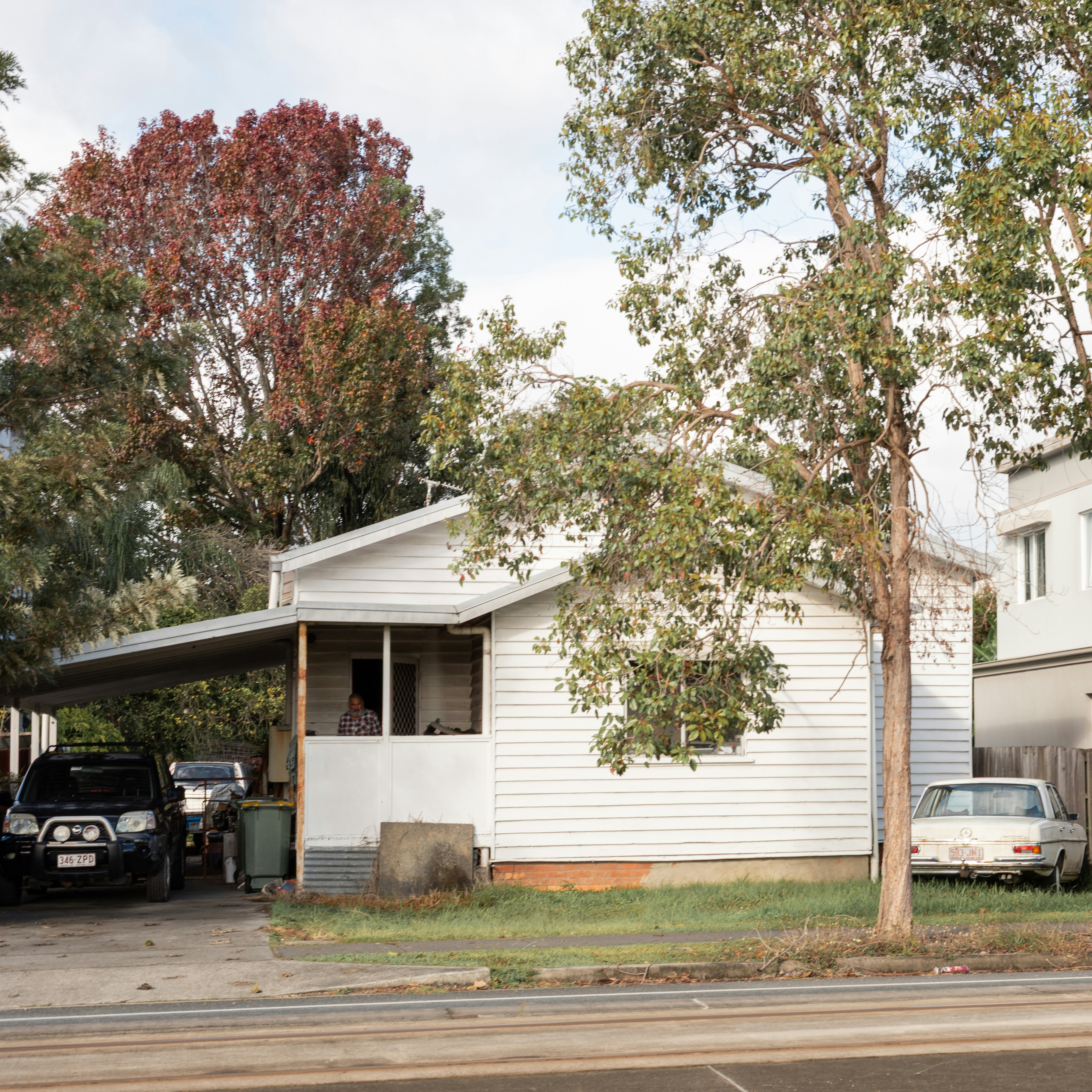 Cottage Corner: A Quiet Street Scene Beneath Mature Canopies