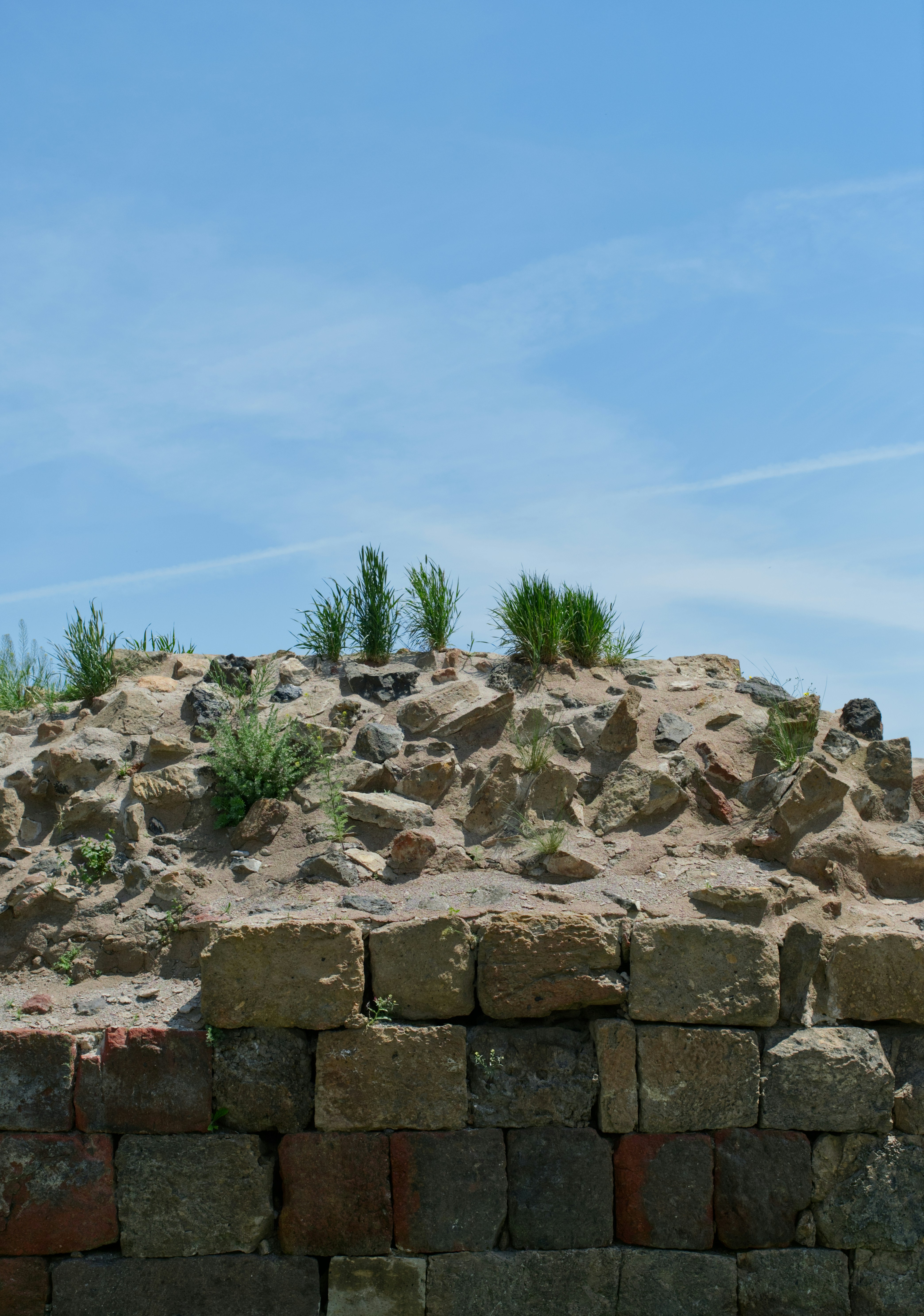 A Rough Terrace Reaching for a Bright Sky
