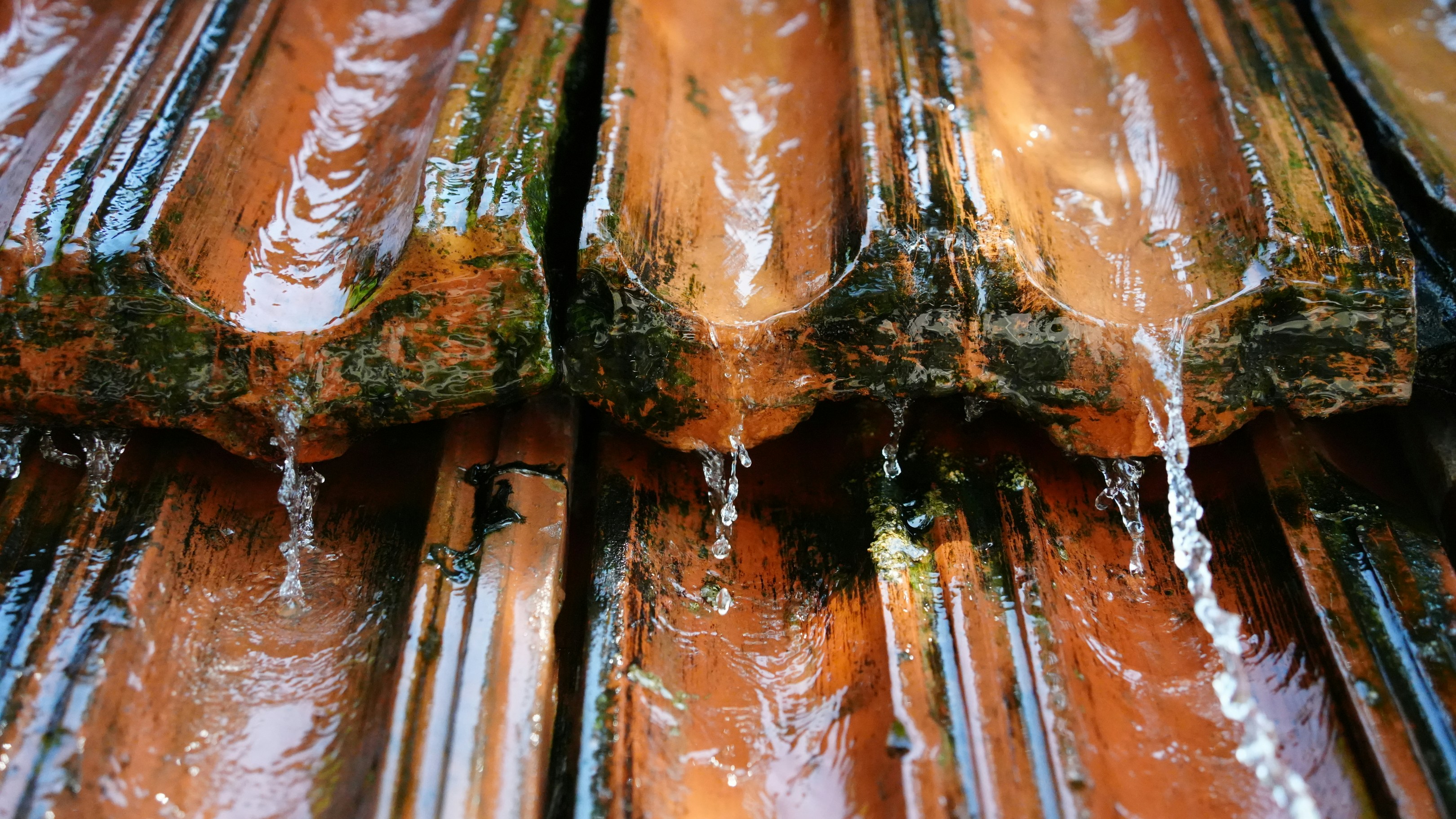 Glazed terracotta tiles with mossy edges and trickling droplets