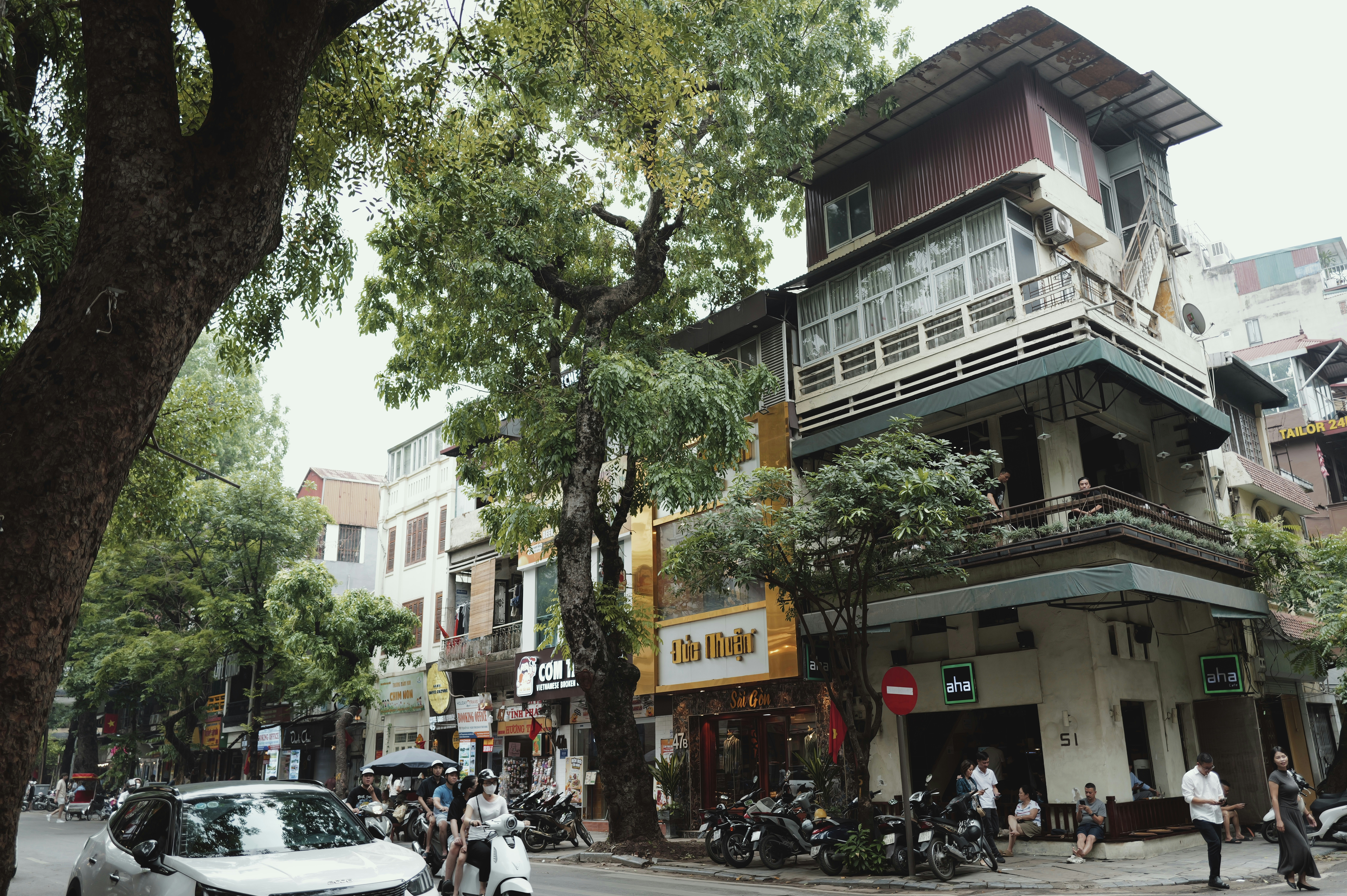 Corner Café Courtyard under a Gnarled Tree