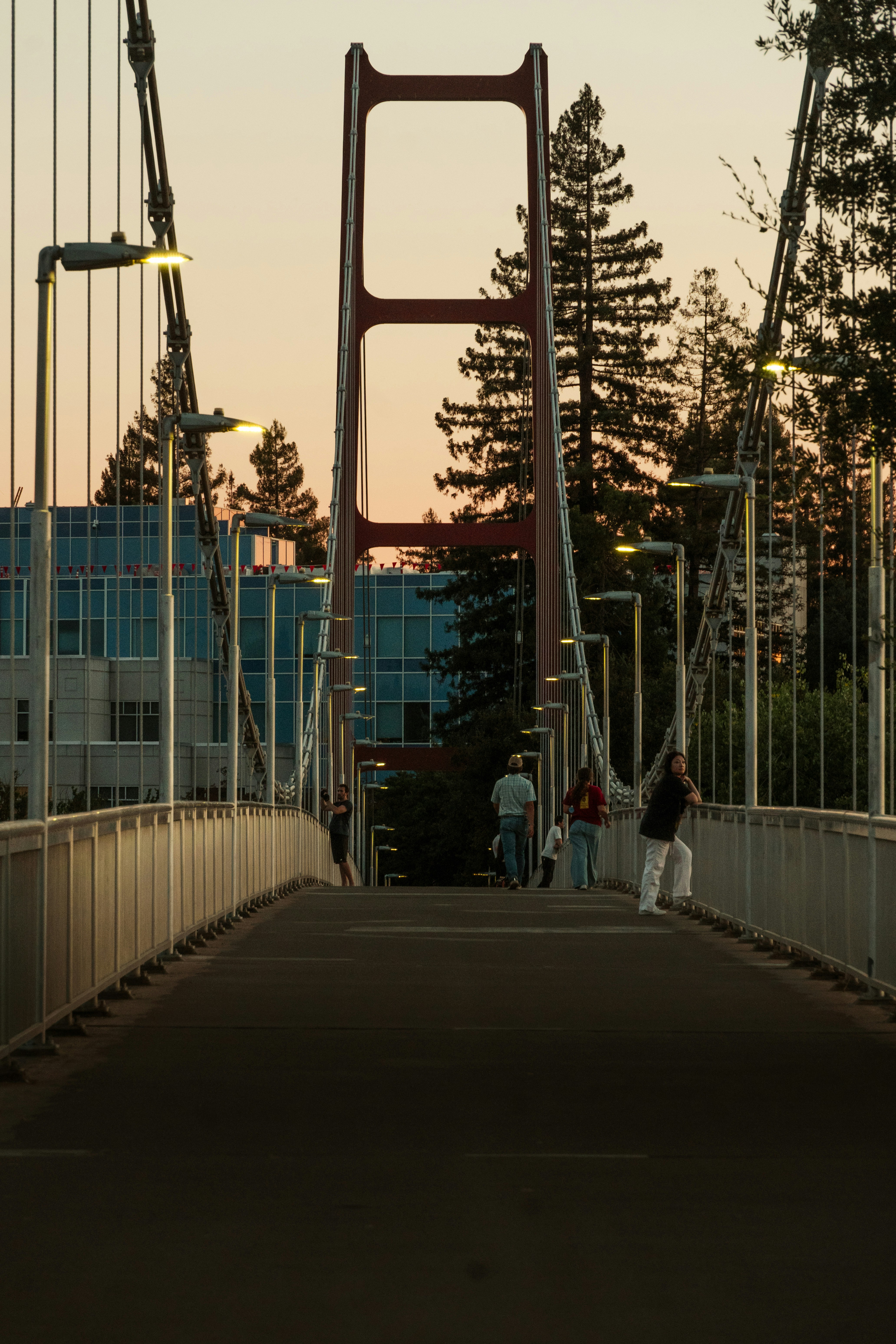 Sunset at the Pedestrian Bridge: Silhouettes and Steel