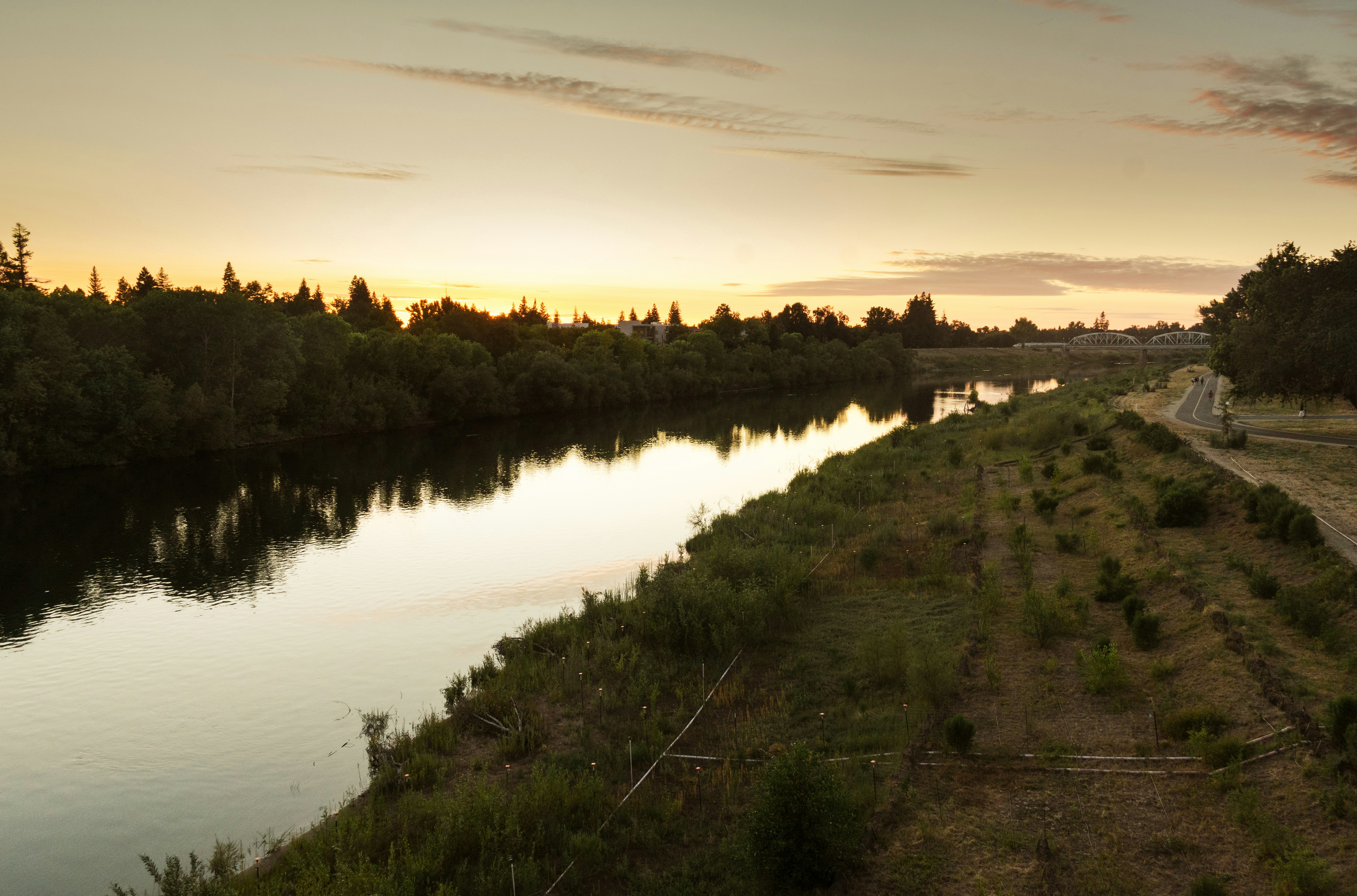 Golden sunset along a calm river with trees lining the far bank and a grassy embankment in the foreground.