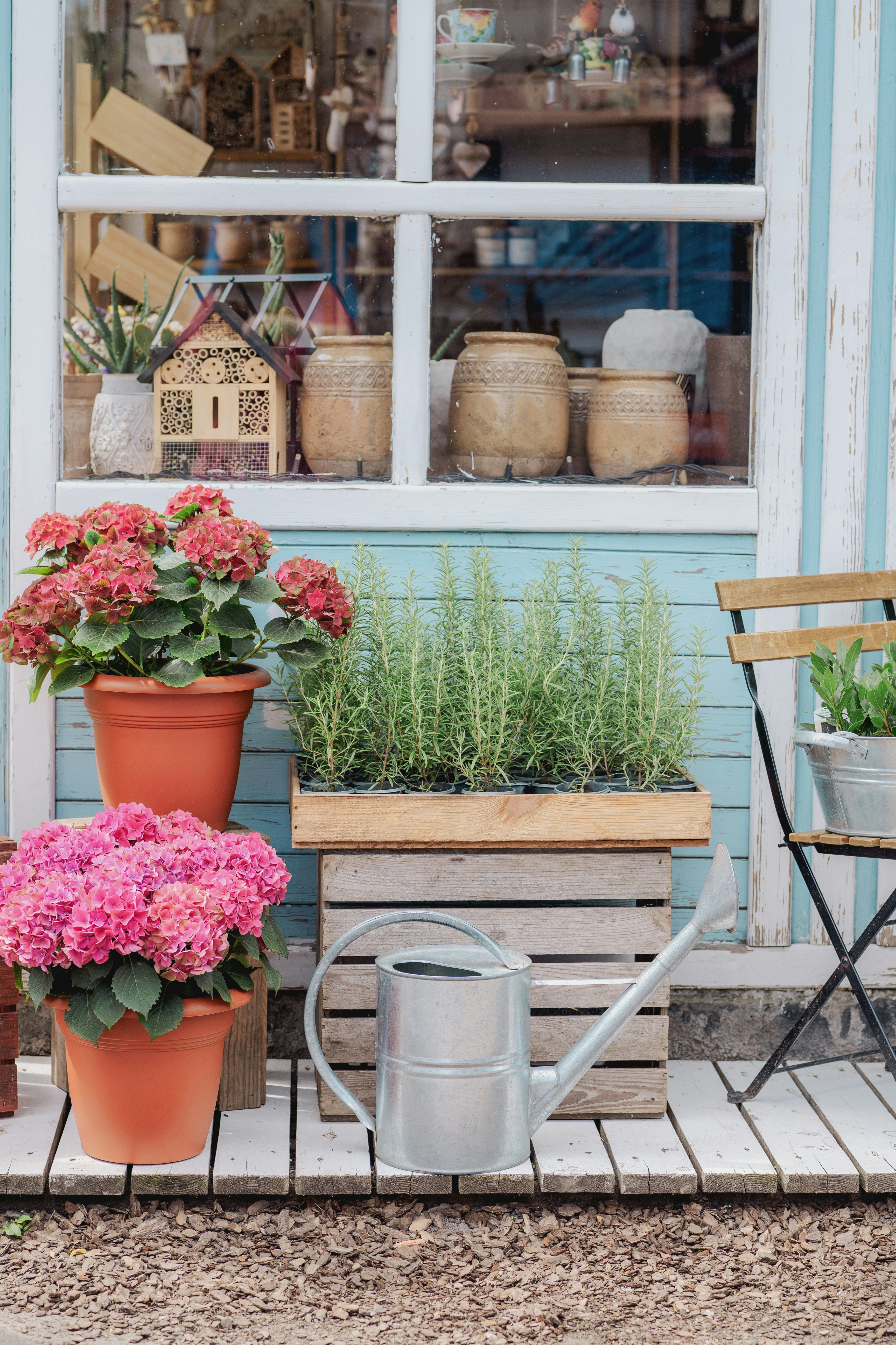 Pastel Porch Garden: Hydrangeas, Herbs, and a Silver Watering Can