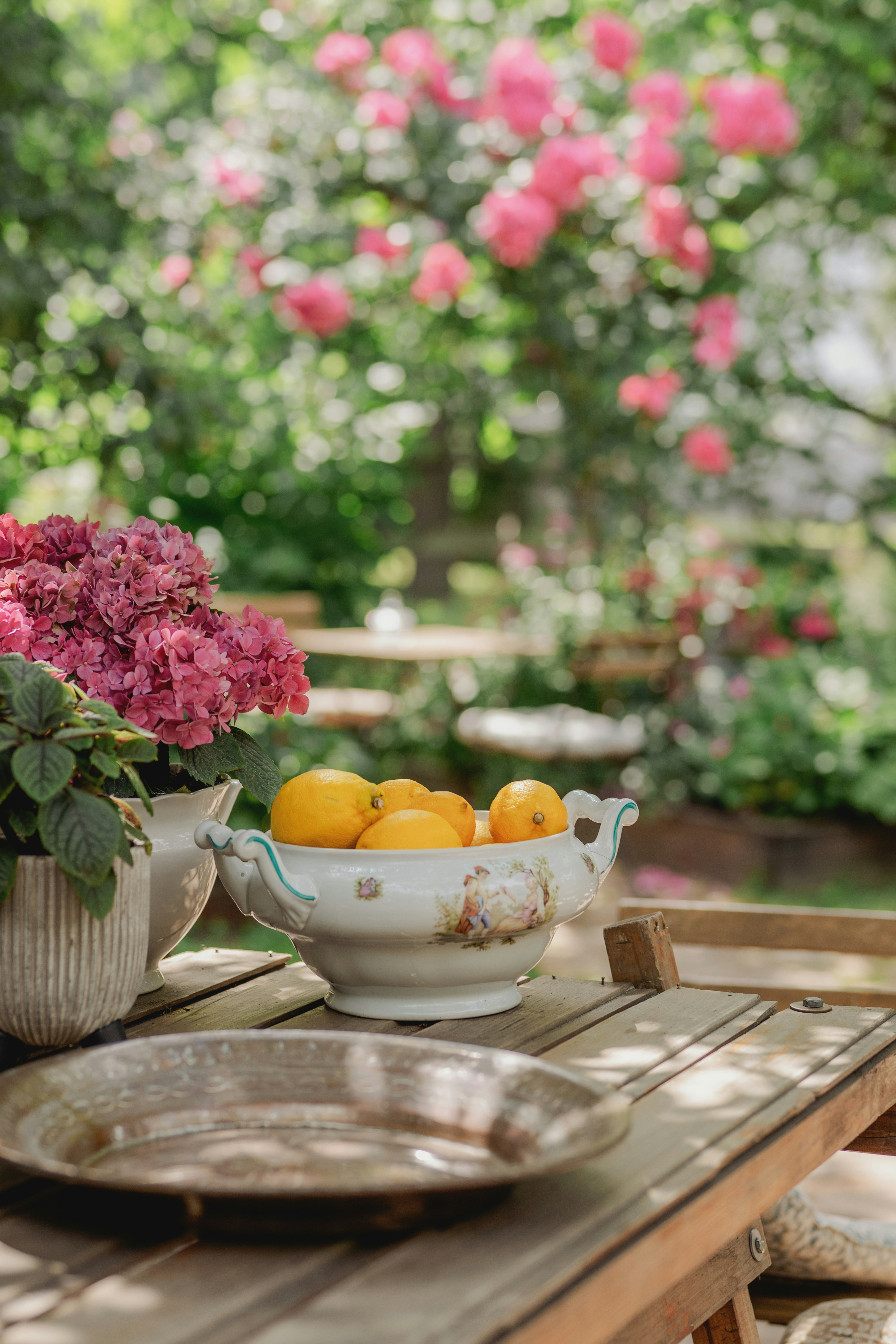Sunlit Picnic Table with Ceramic Bowl of Oranges and Pink Hydrangeas