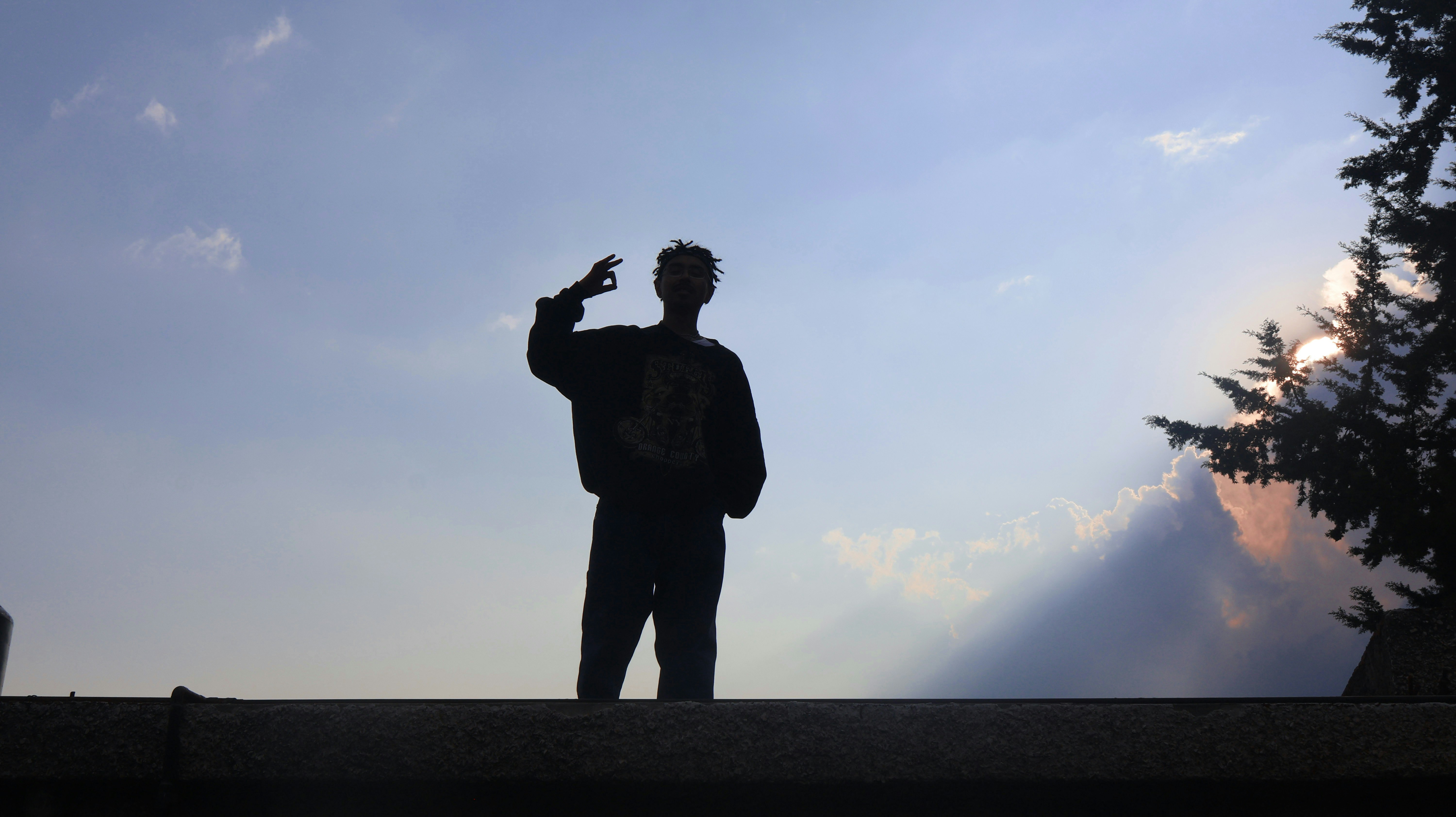 Backlit silhouette atop the horizon, a quiet figure against a shifting sky