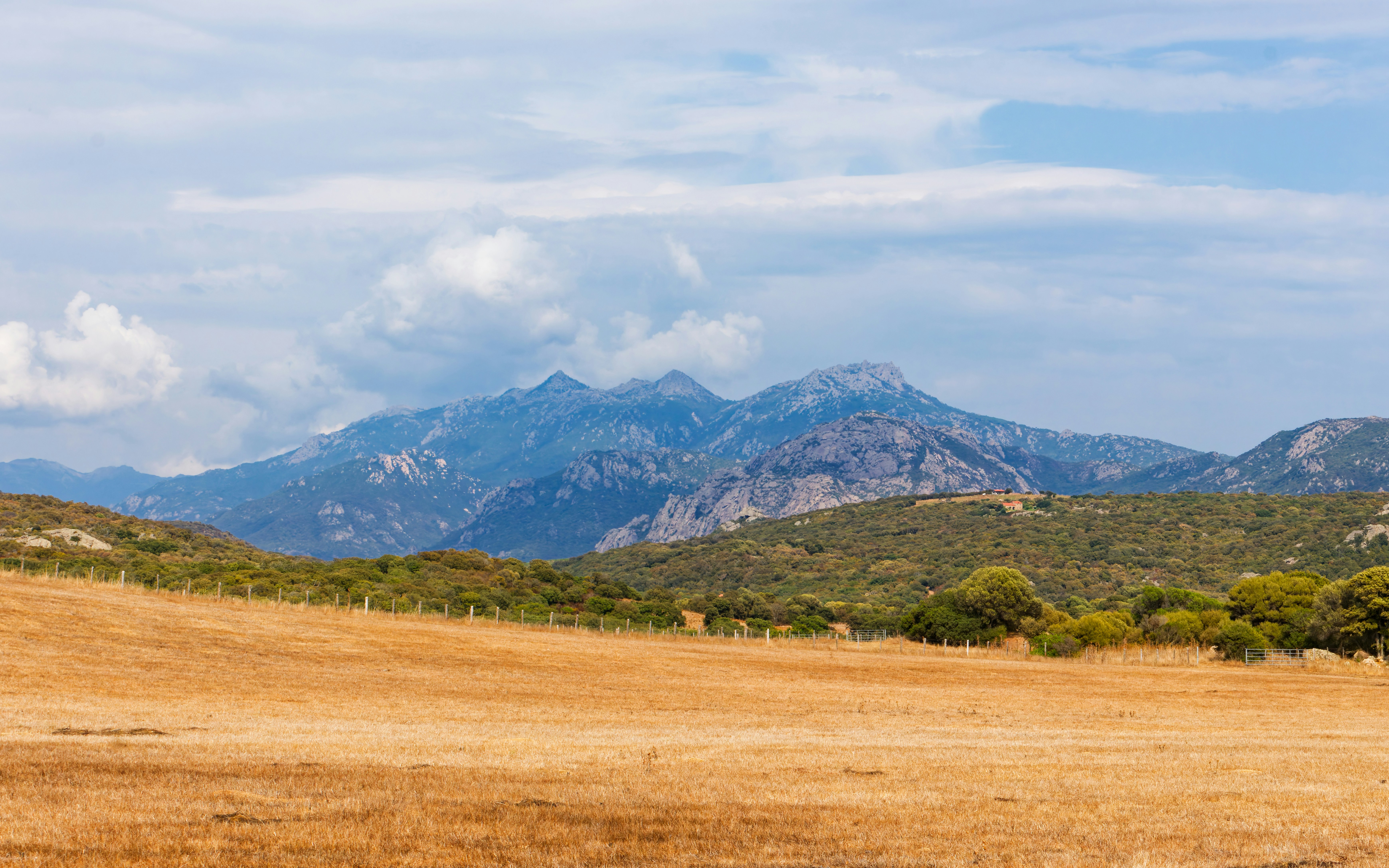 Dusty Field Toward Distant Peaks