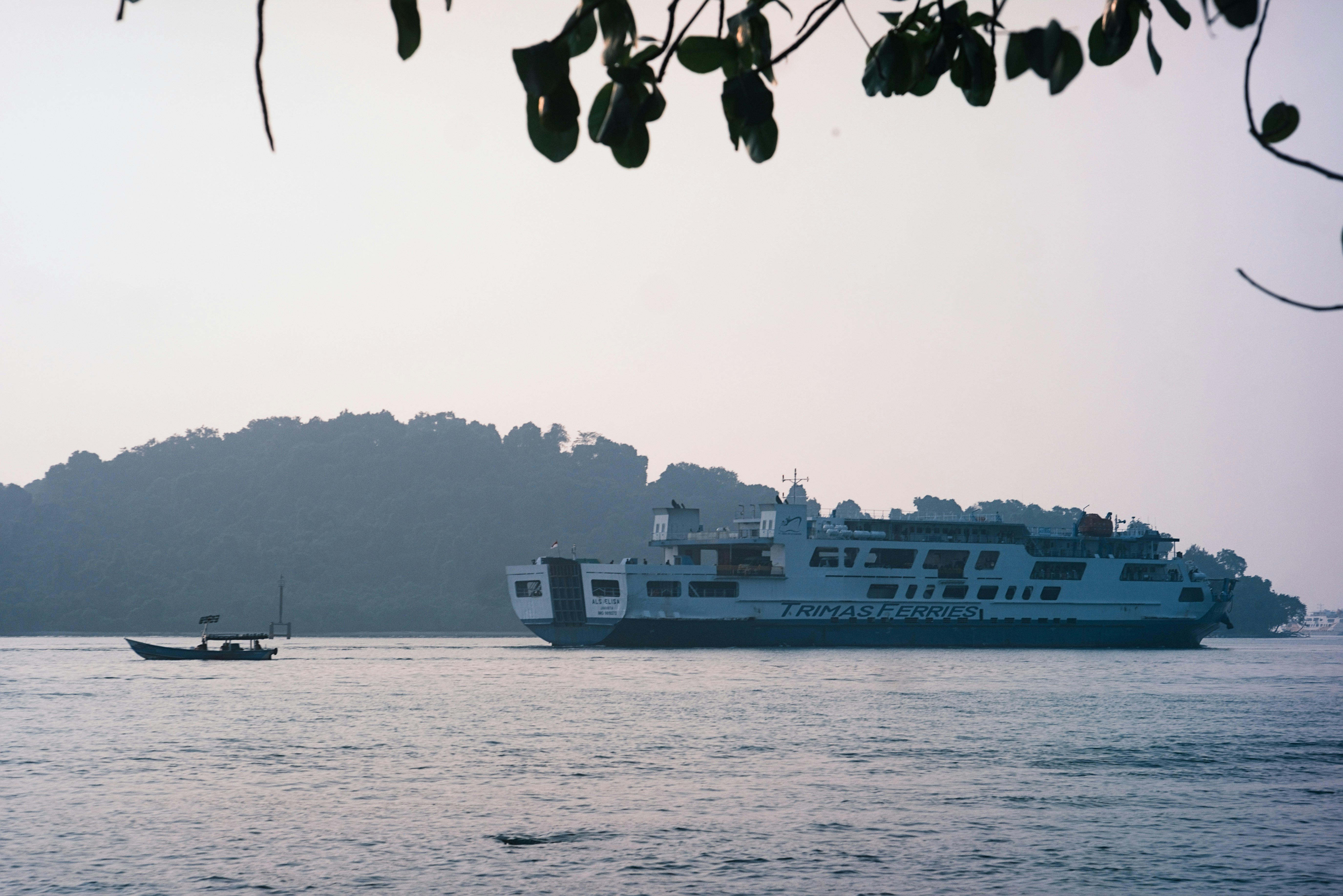 Harbor Interlude: A Passenger Ferry Anchored with a Distant Barking Boat