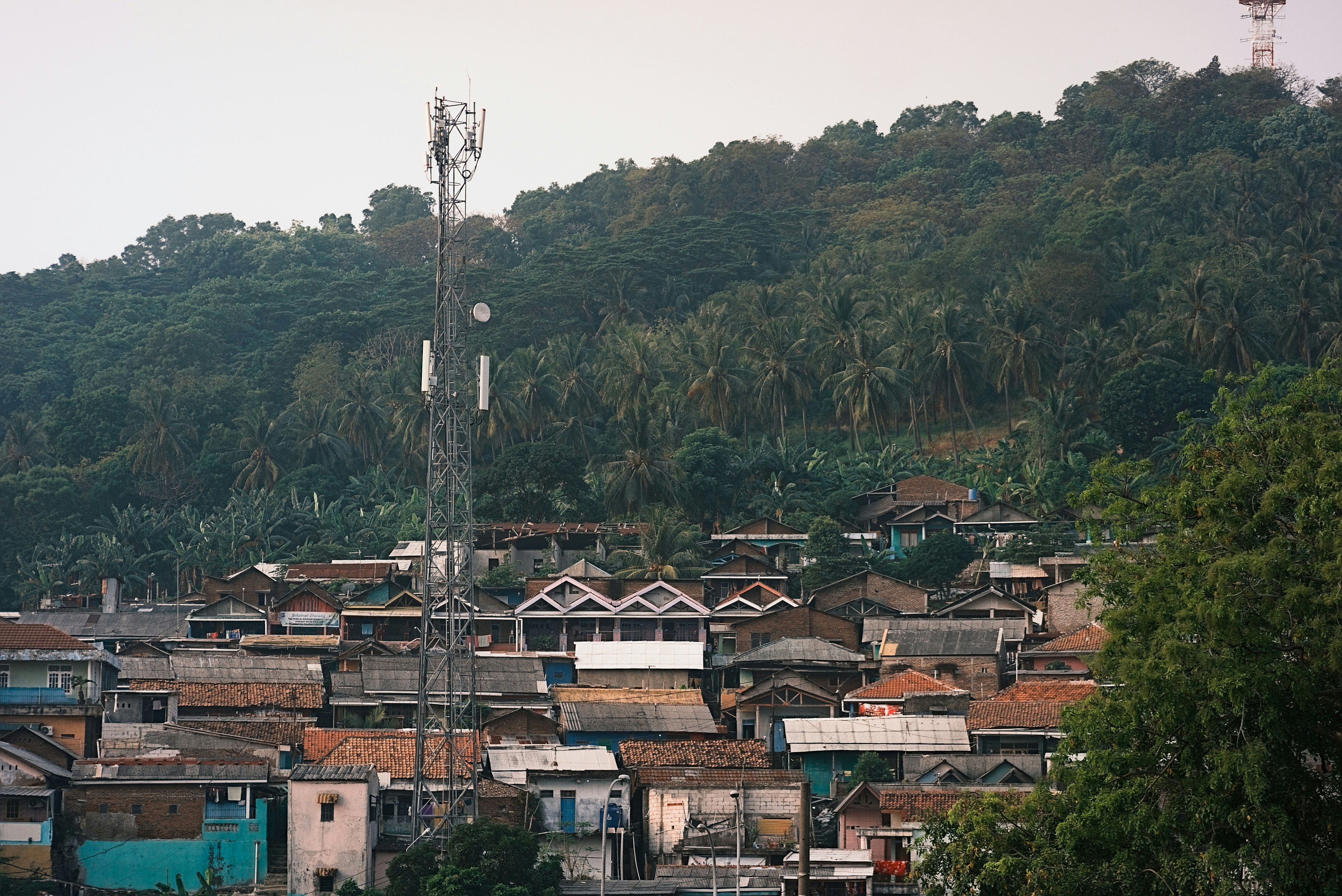 Village Rooftops Under a Verdant Ridge