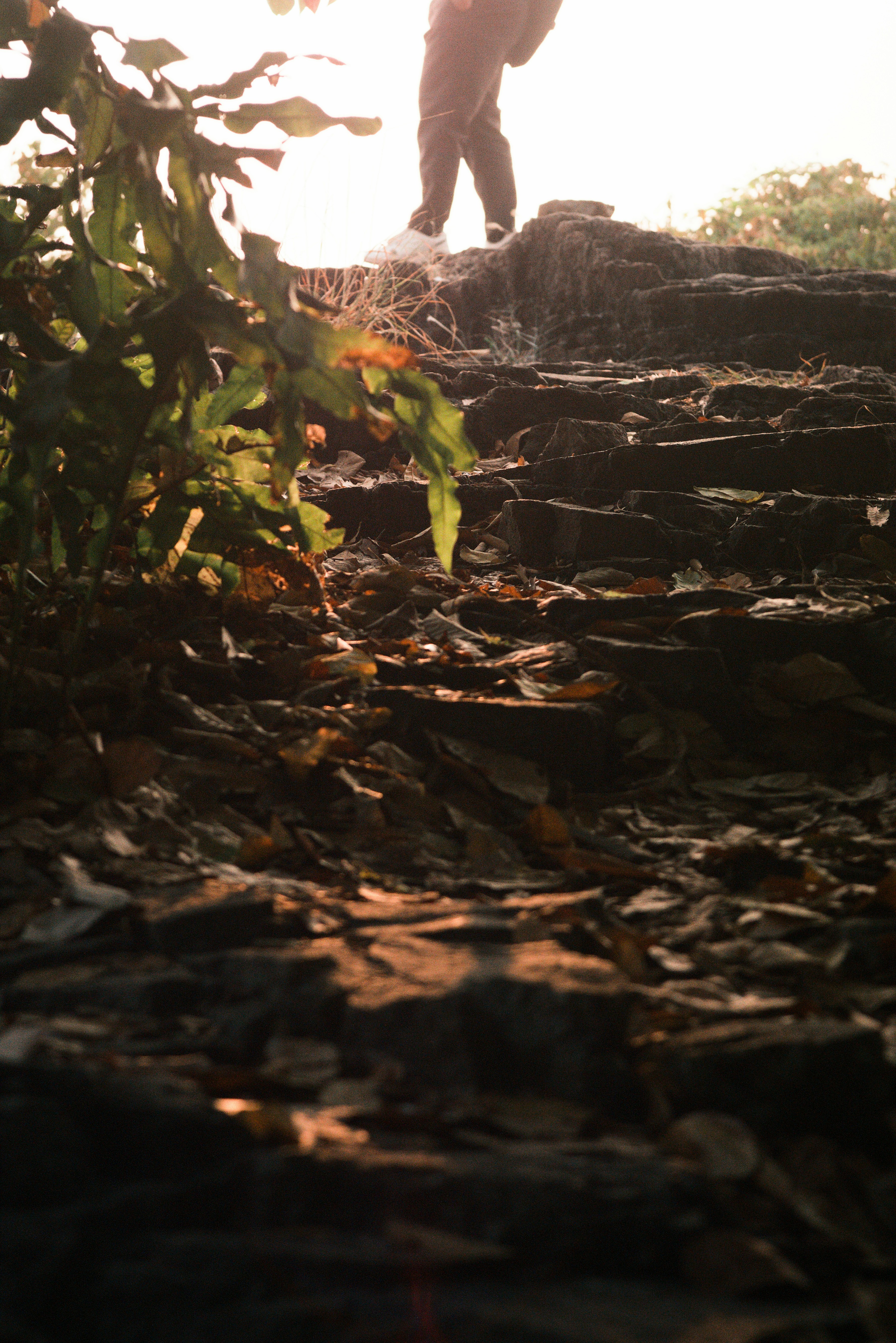 Steps to the Light: A Silhouette at Dusk
