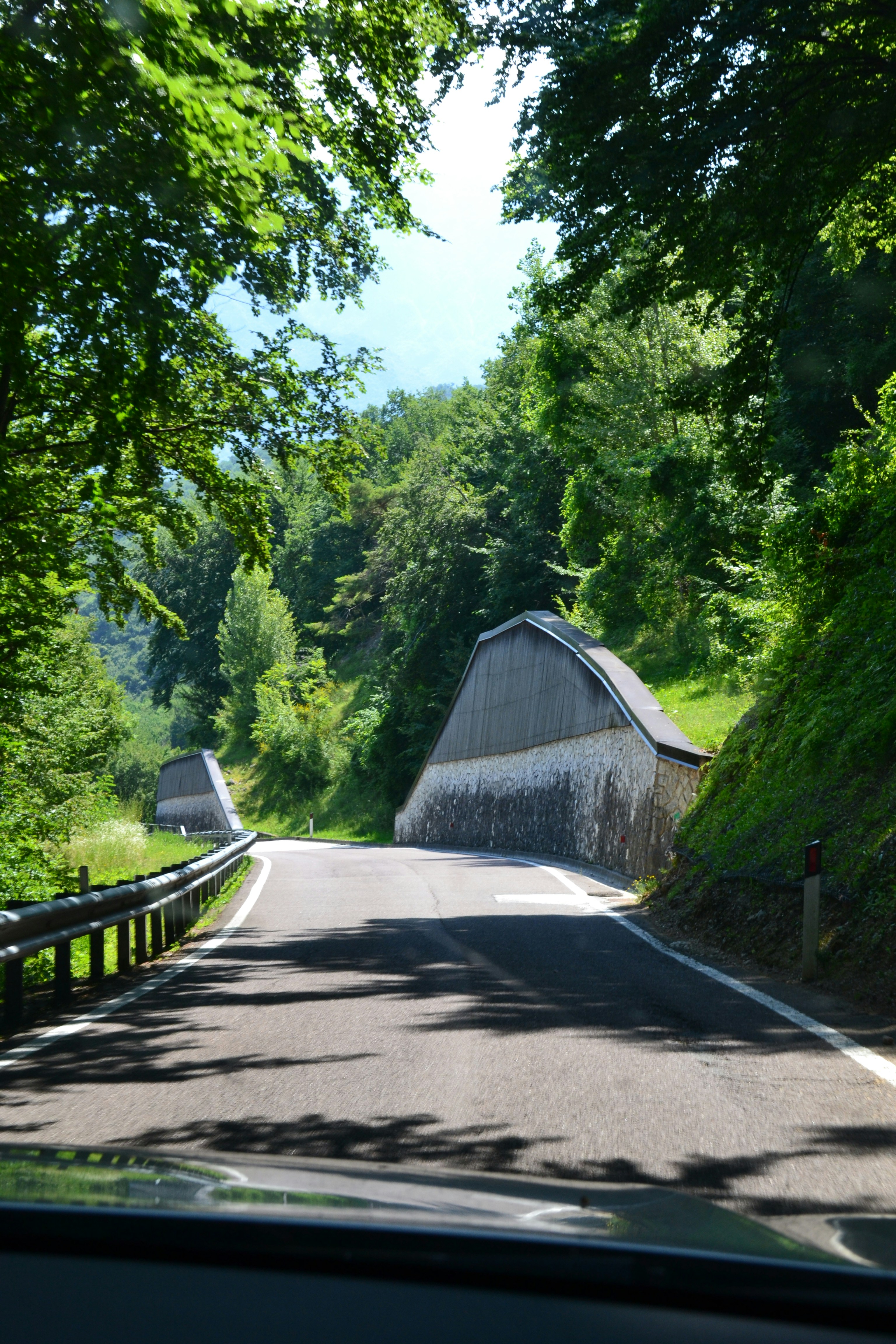 Sunlit Cambered Bridge Road Through a Canopy of Green