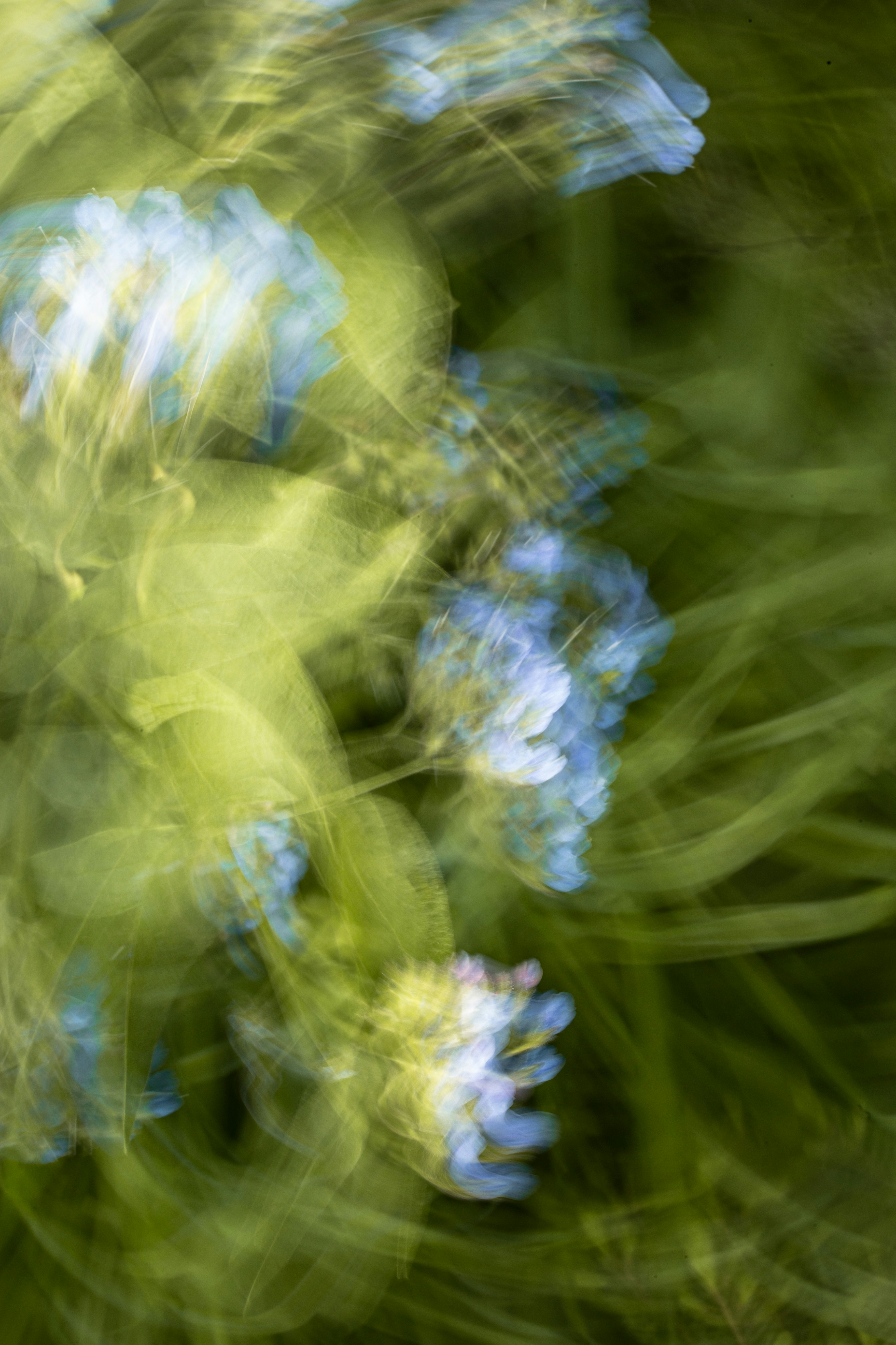 Soft Meadow Blur: Echoes of Green and Blue