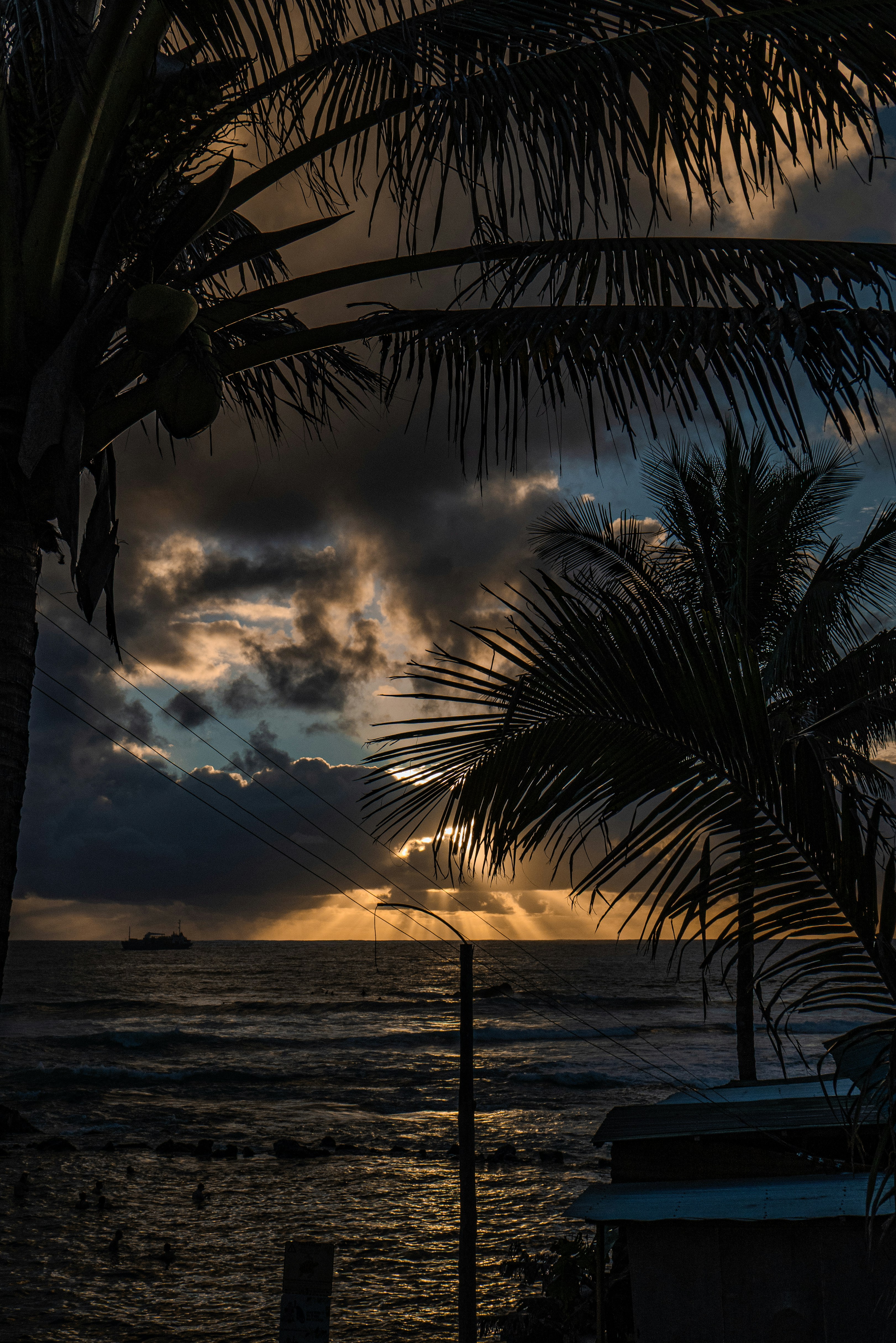 Sunset Over Silhouetted Palms: A Quiet Coastal Moment
