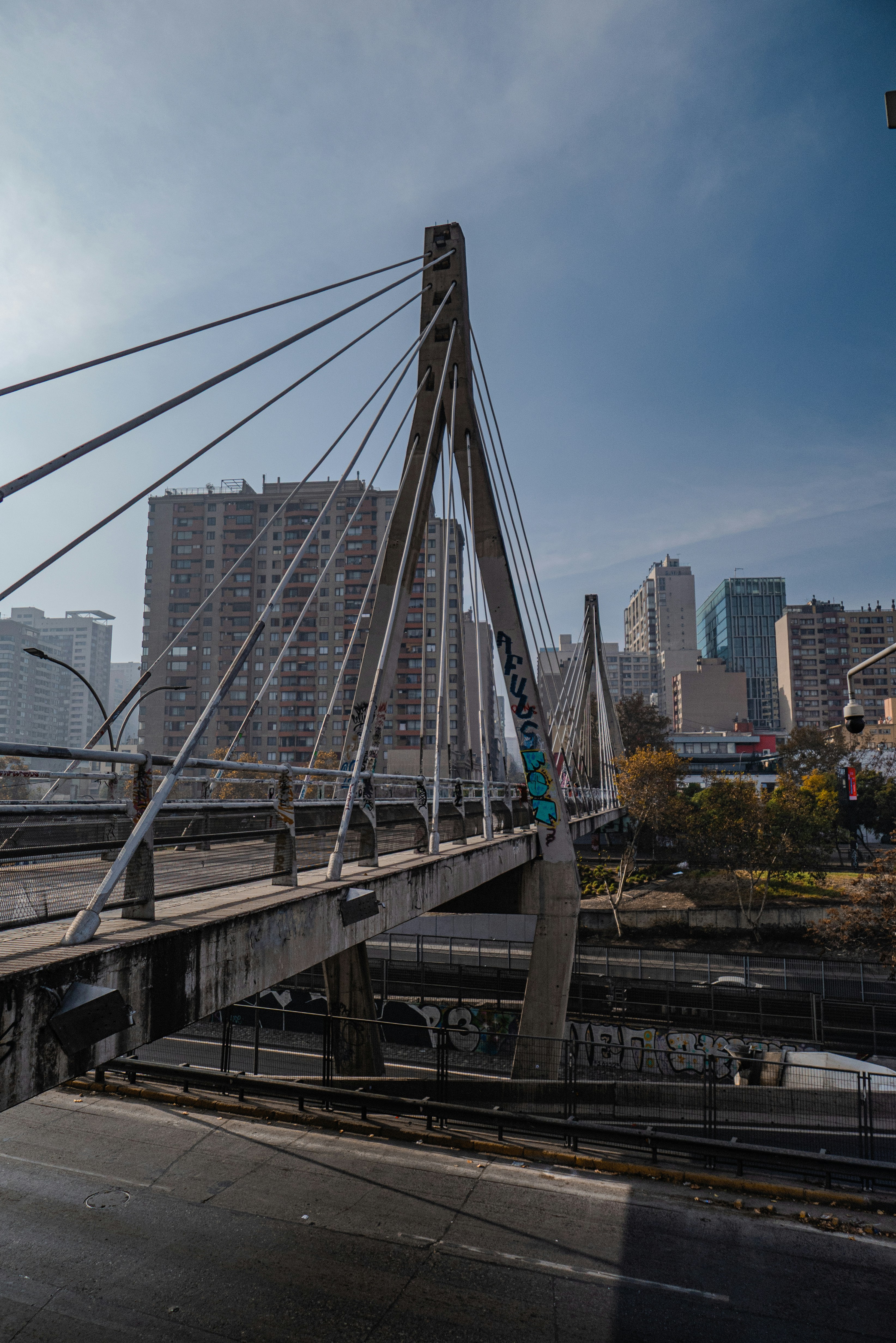 Suspension Lines and City Grid: A Leaning Cable-Stayed Bridge in Evening Light