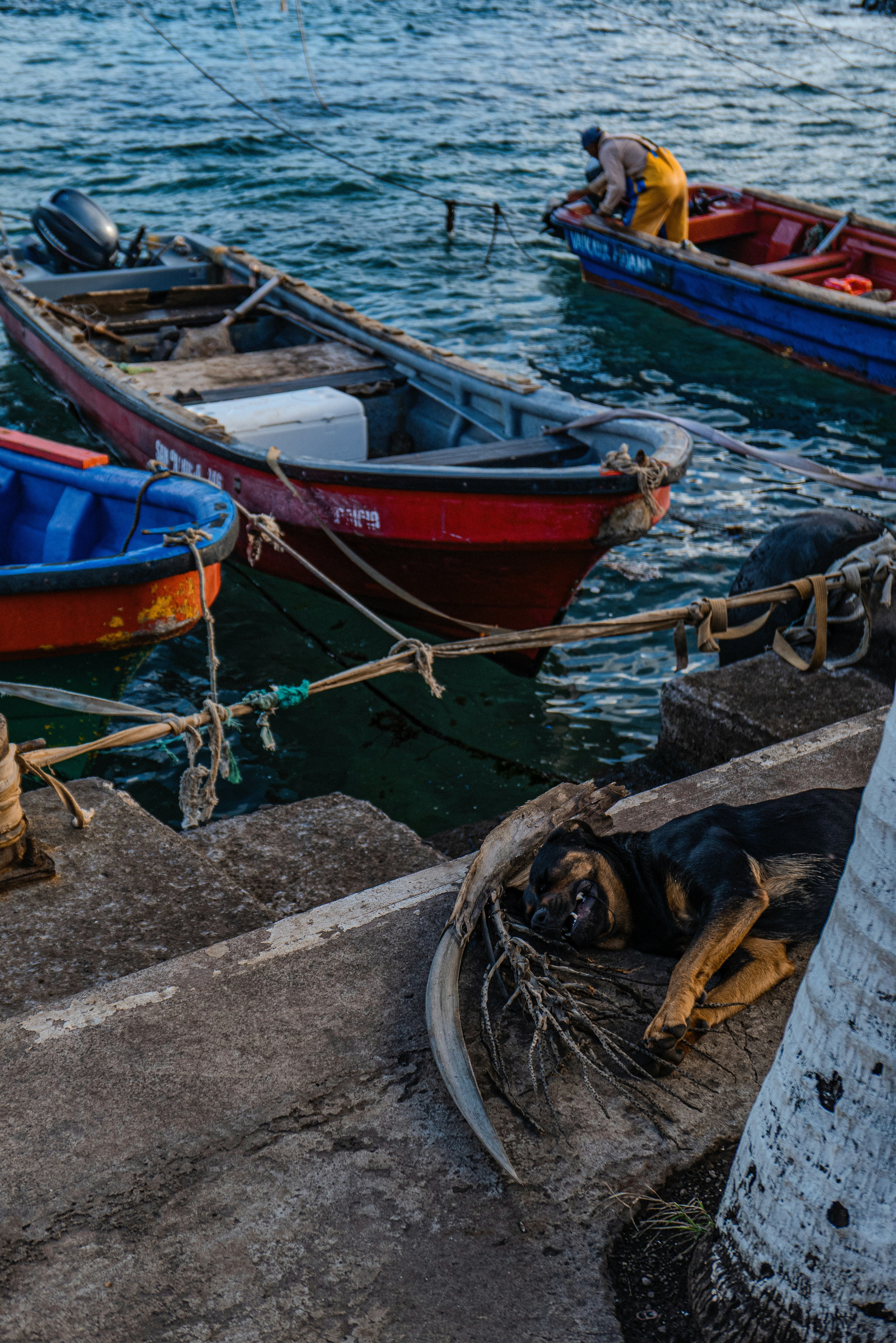 Rope, Waves, and Rest: Boats at the Quiet Pier