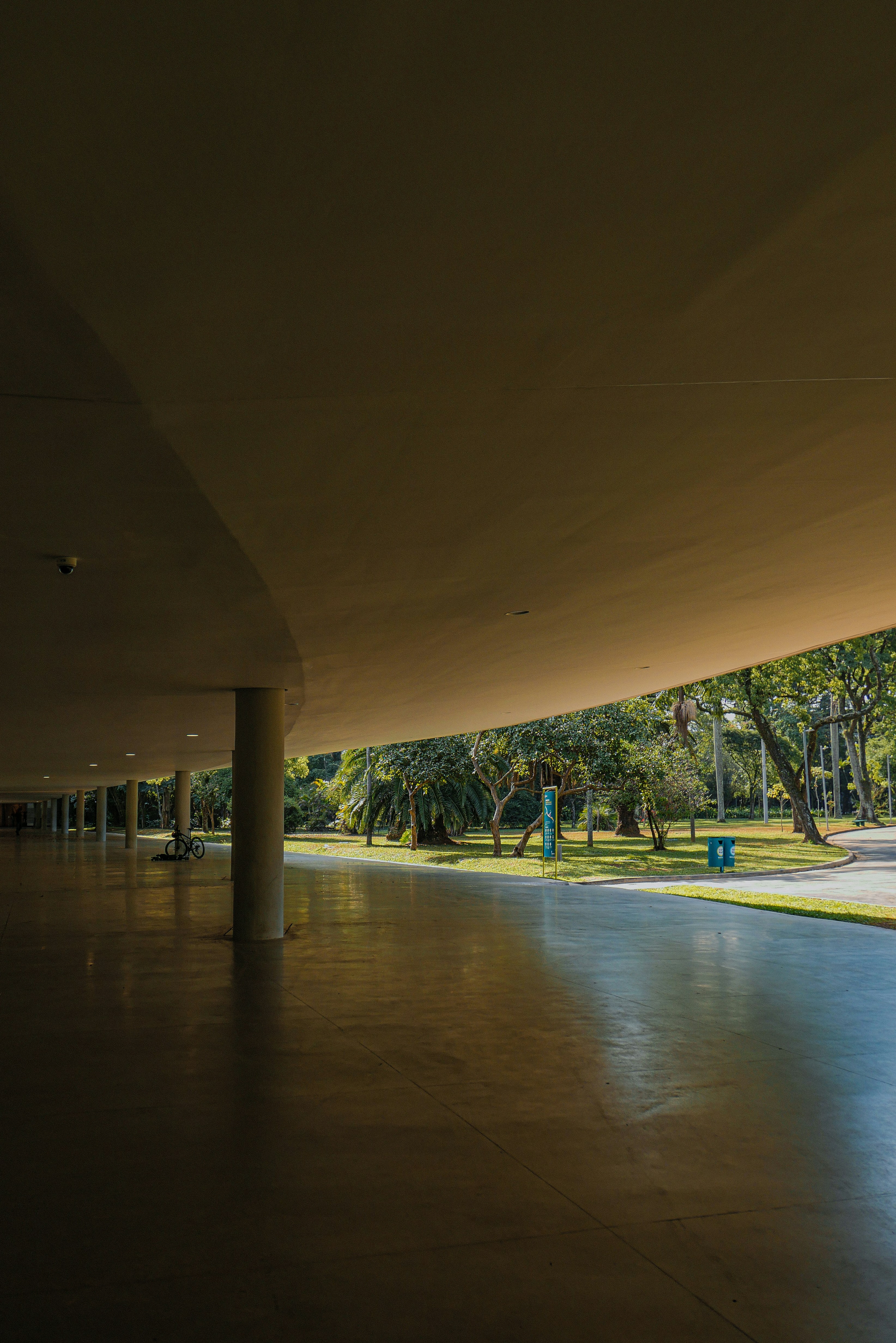 Under the Curve: A Quiet Corridor Between Light and Shadow