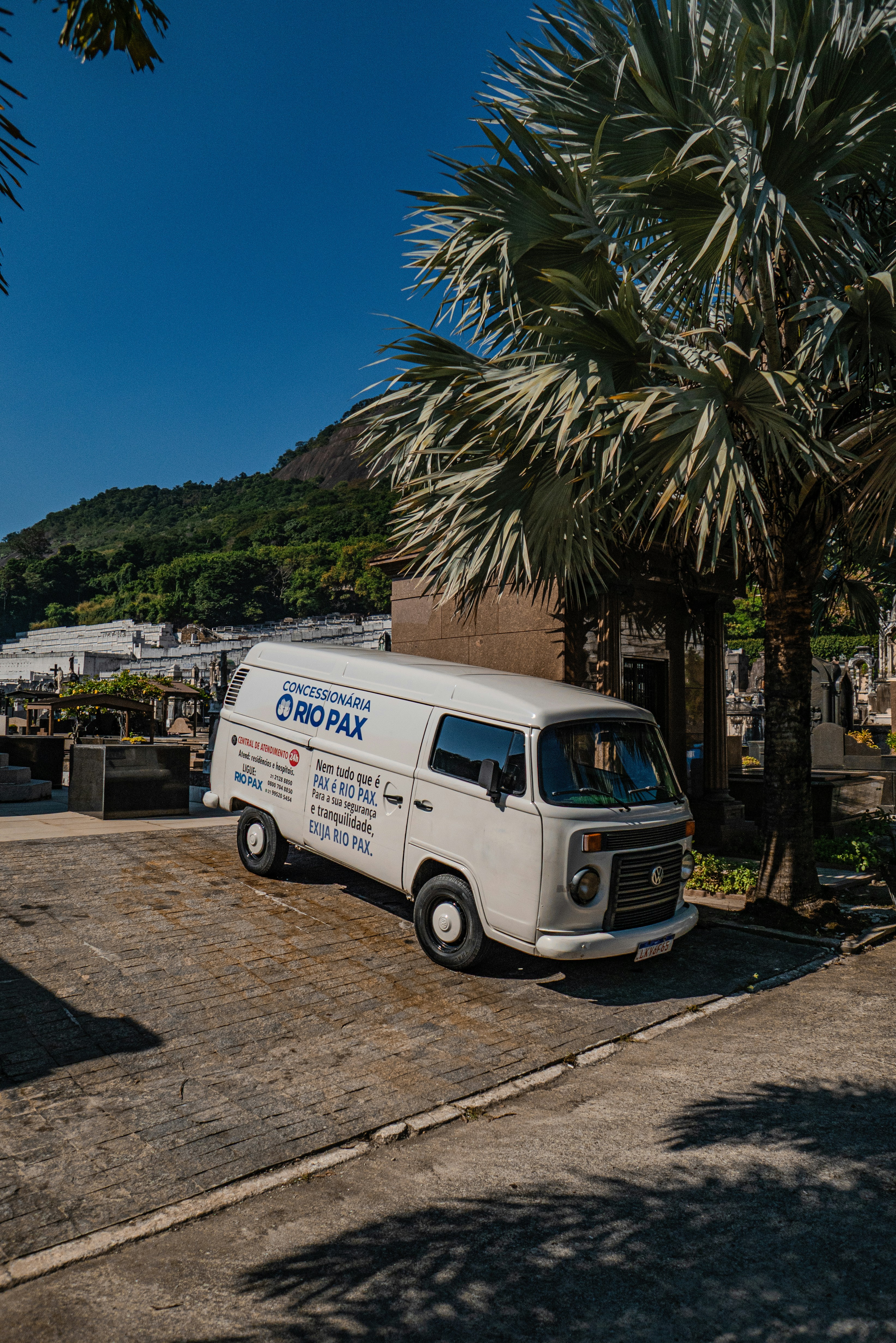 White van at a palm-shaded cemetery courtyard