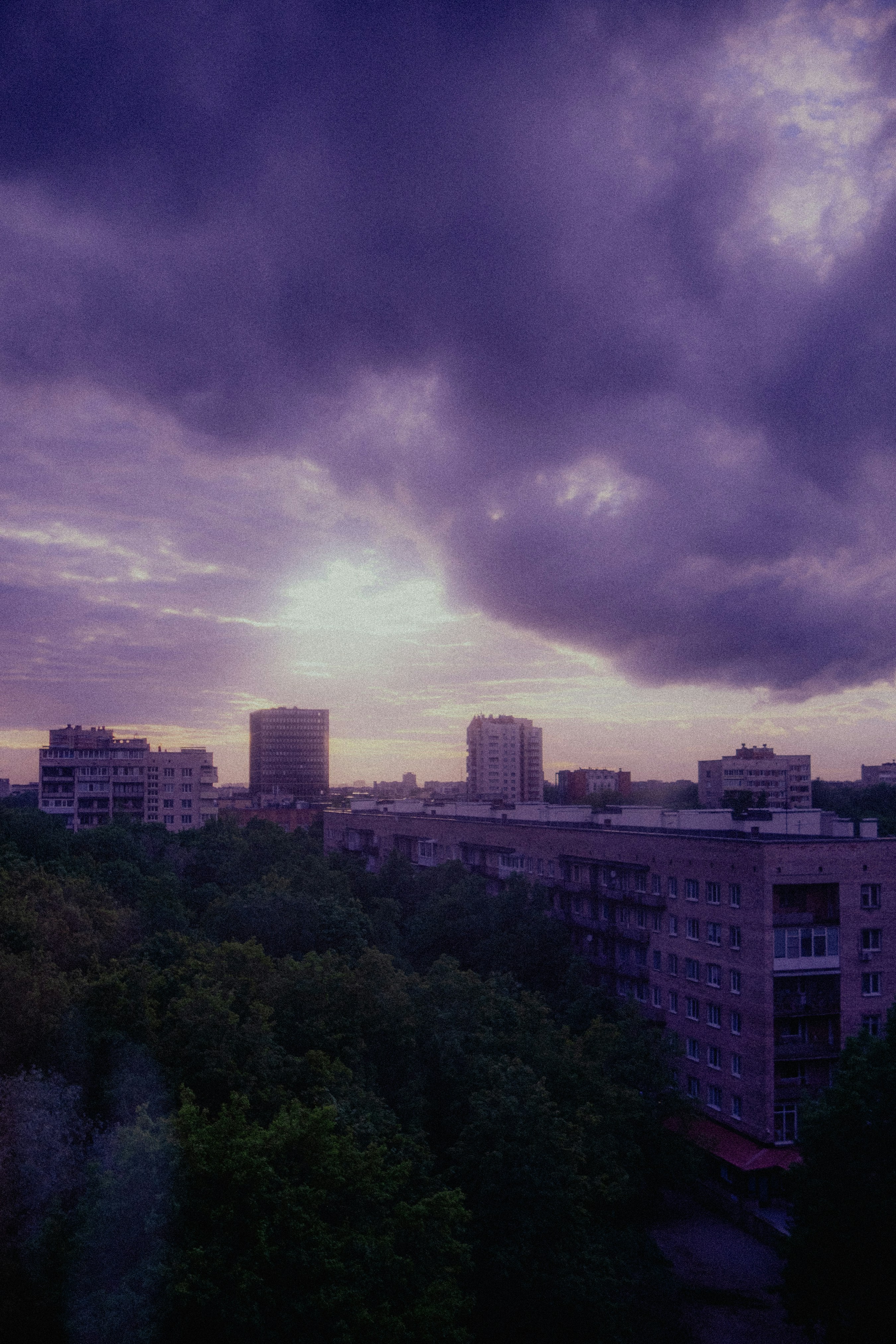 Dusky Skyline Over Verdant Blocks at Dusk