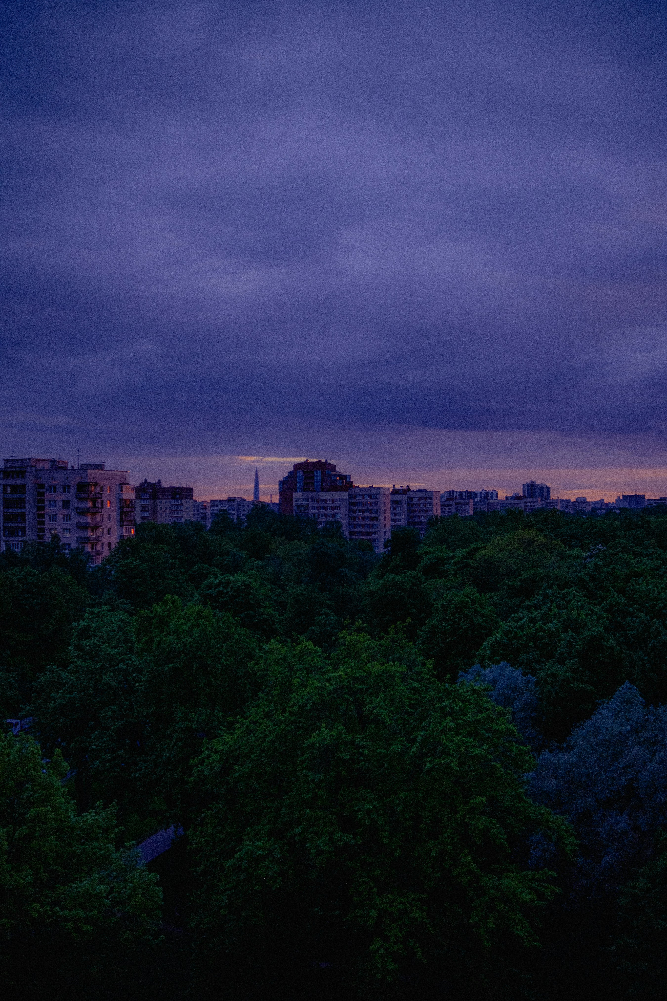 Dusk Over the Green Canopy: City Silhouette at Twilight