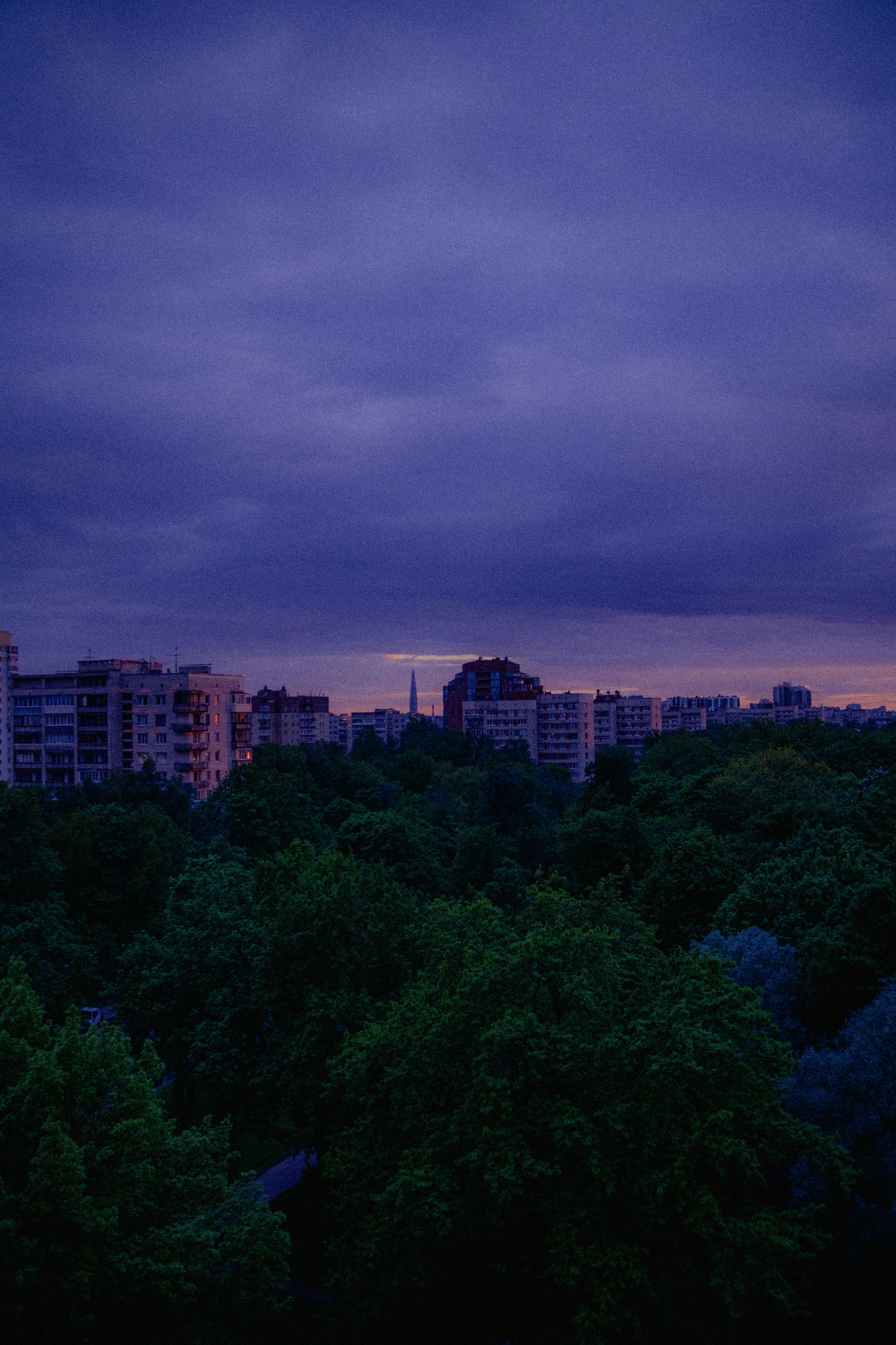 Dusk Over the Treeline: City Silhouette at Twilight