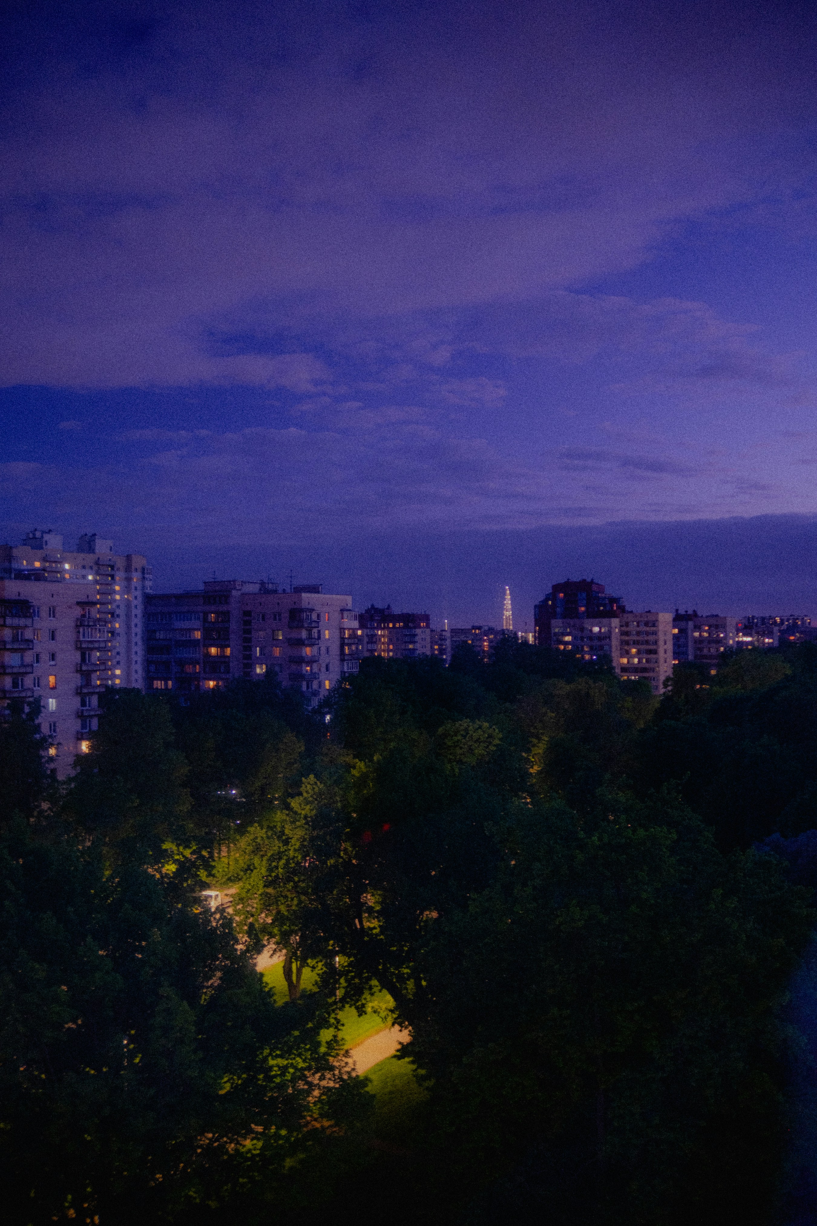City Skyline at Dusk: Gentle Glow Over a Canopy of Trees