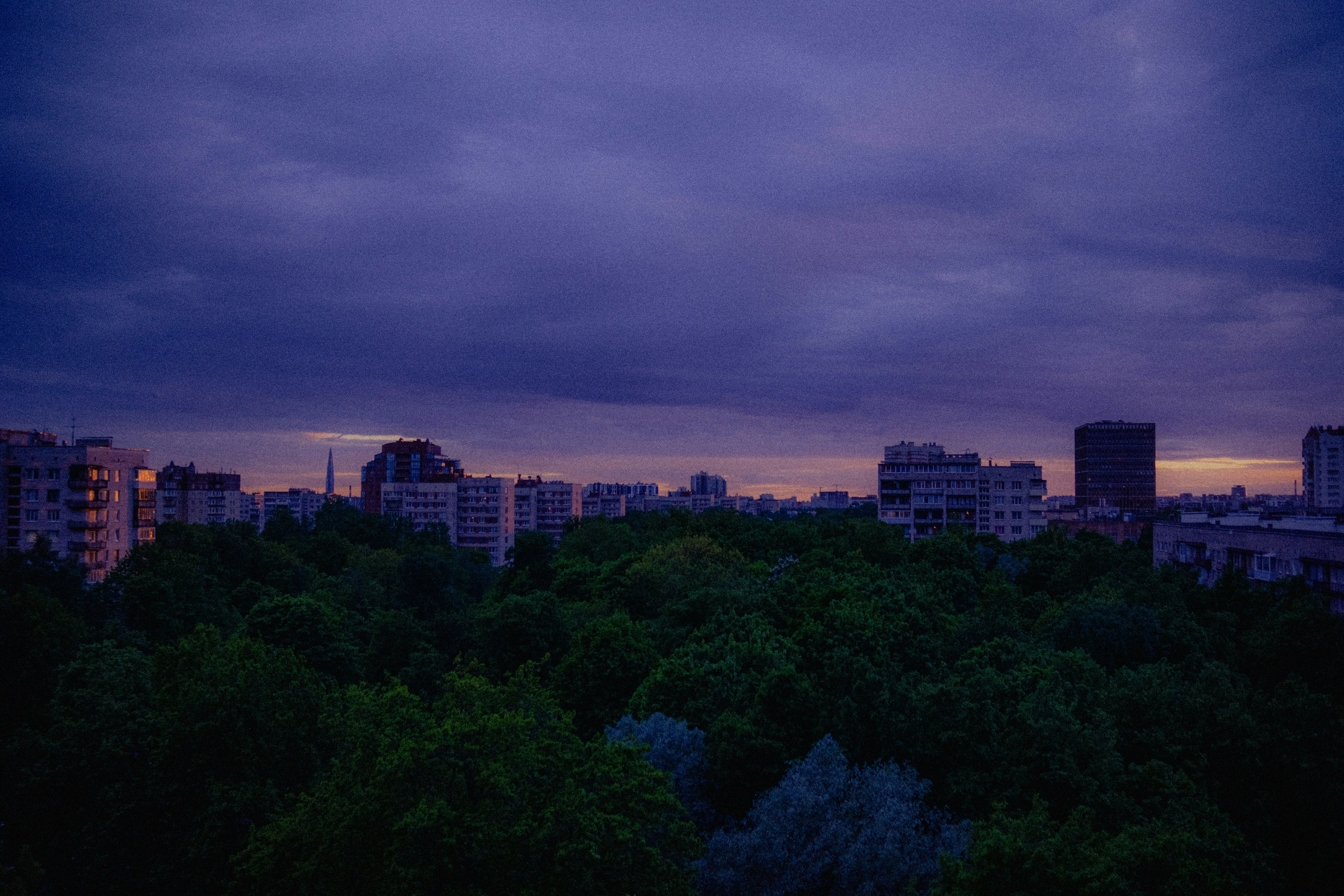Twilight Crest Over the City Forest