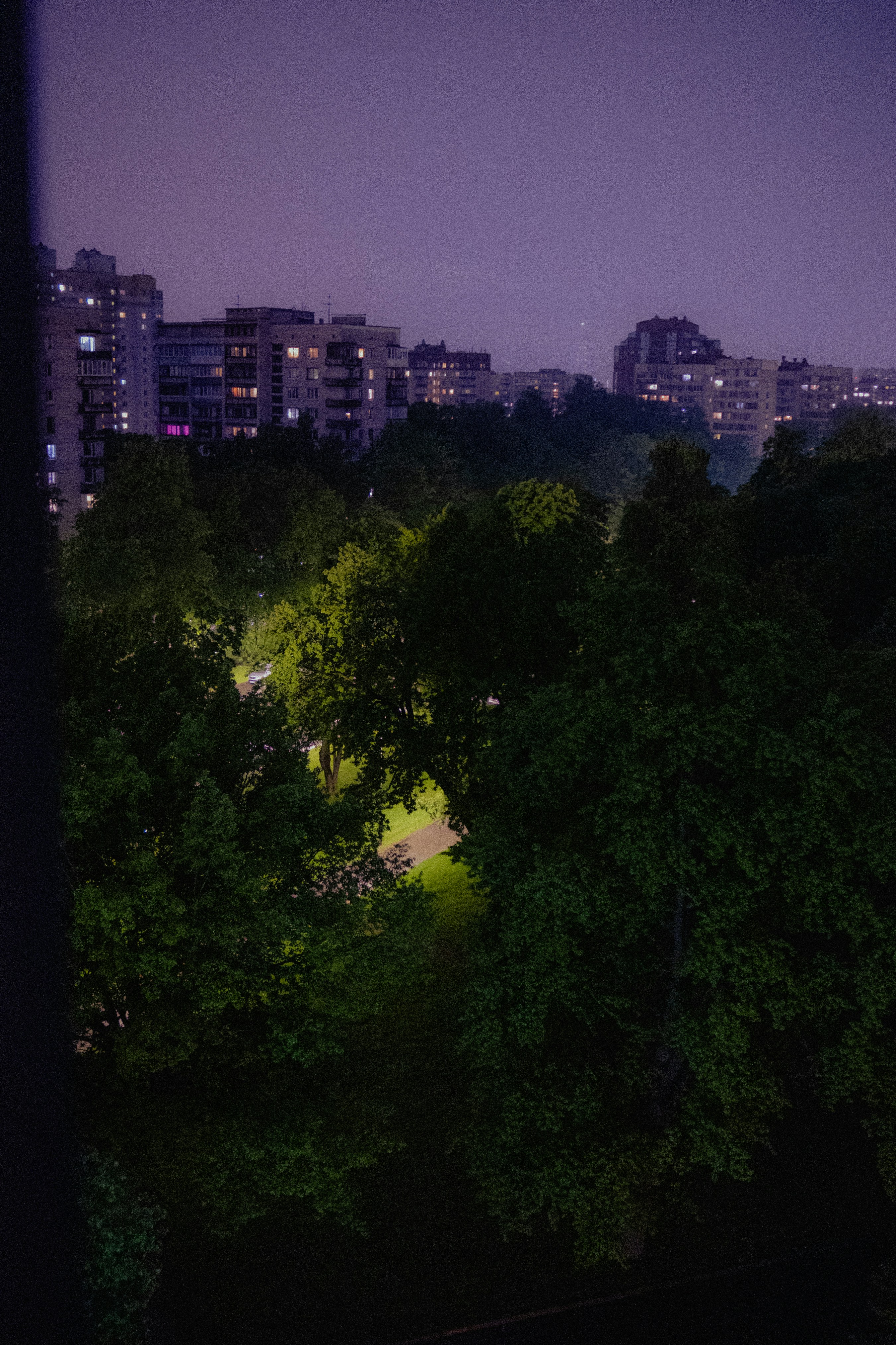 Nighttime Emerald Canopy Over City Lights