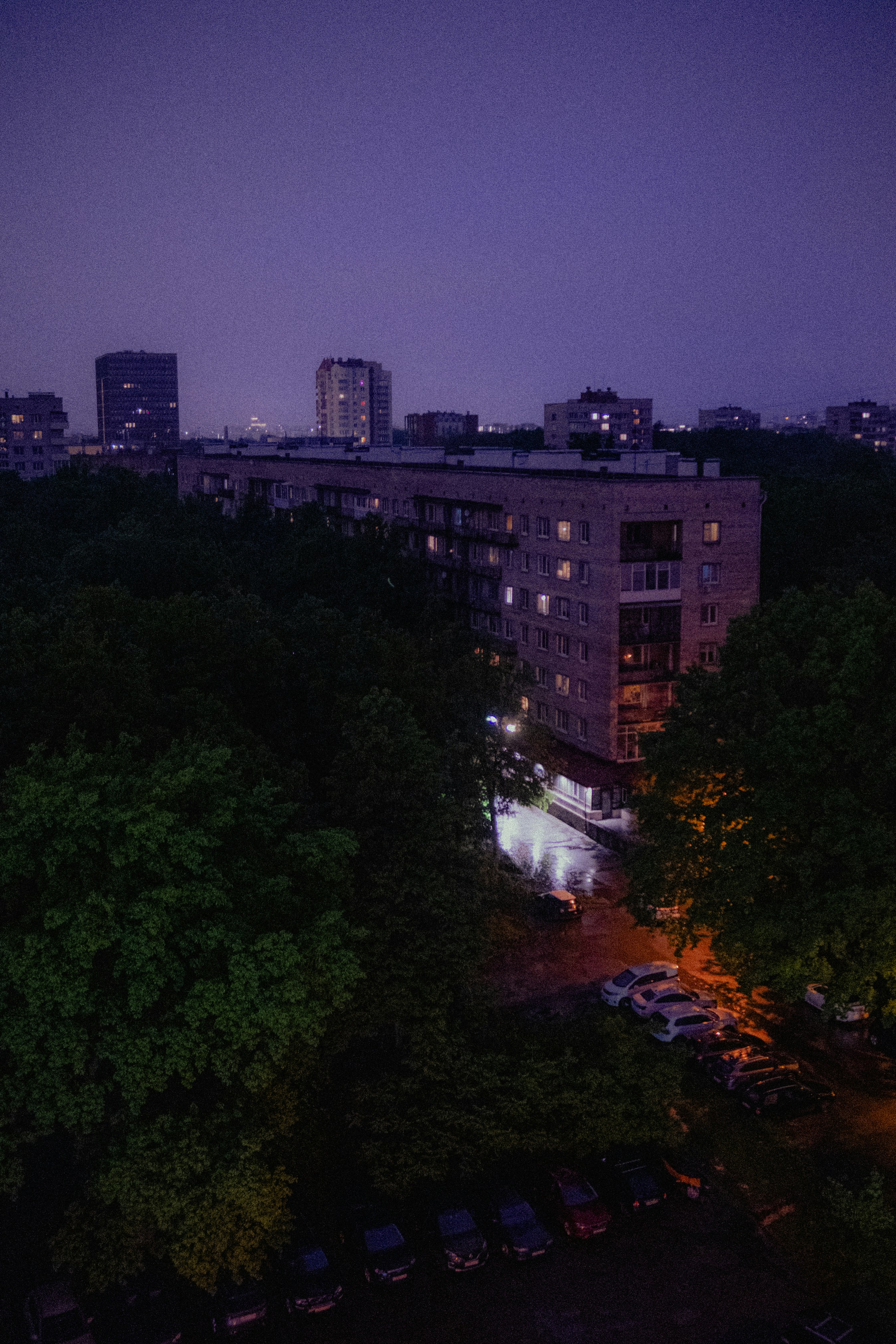 Dusk Over the urban canopy: apartment block framed by trees