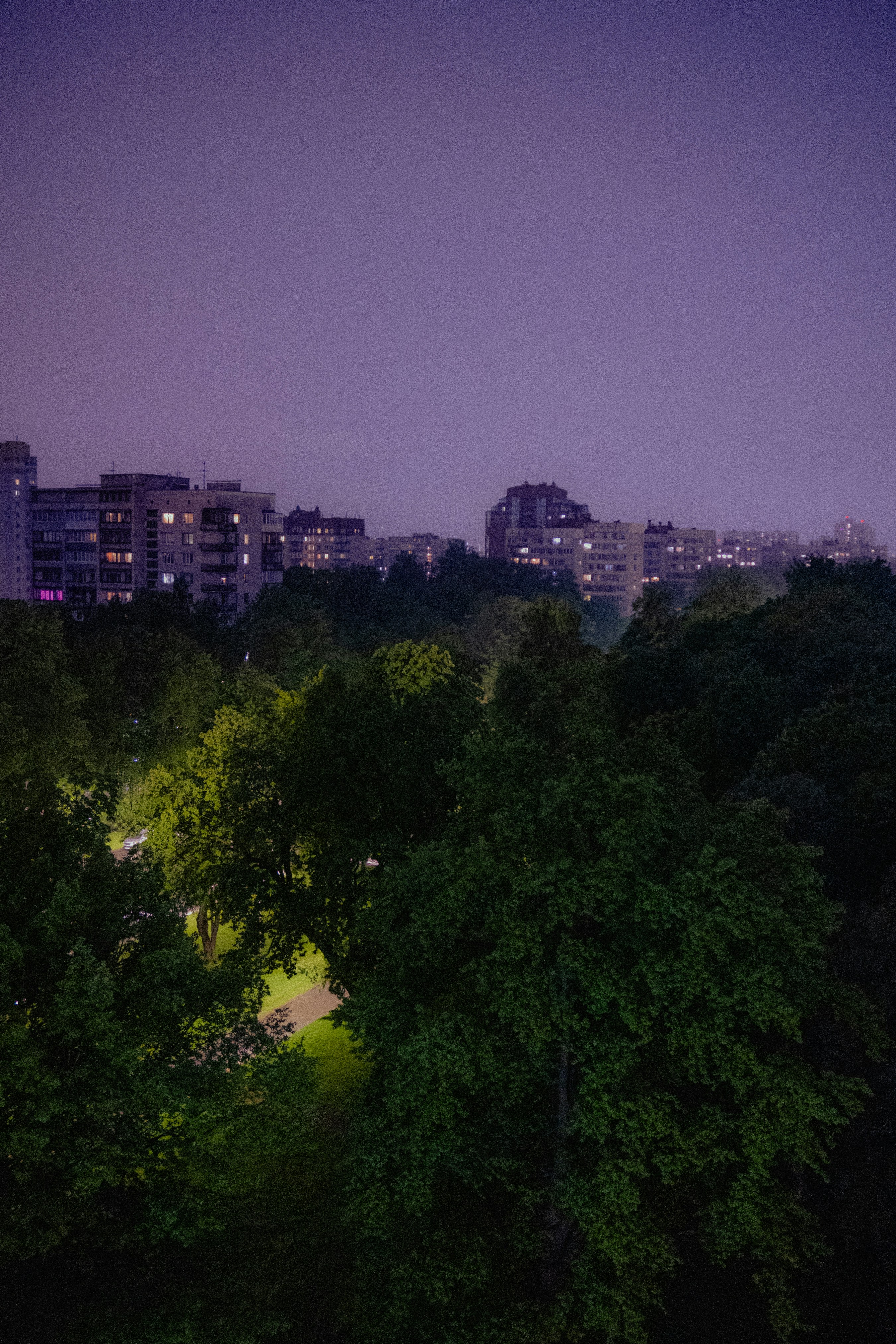 City Glow Behind a Canopy: Night Portrait Over the Park