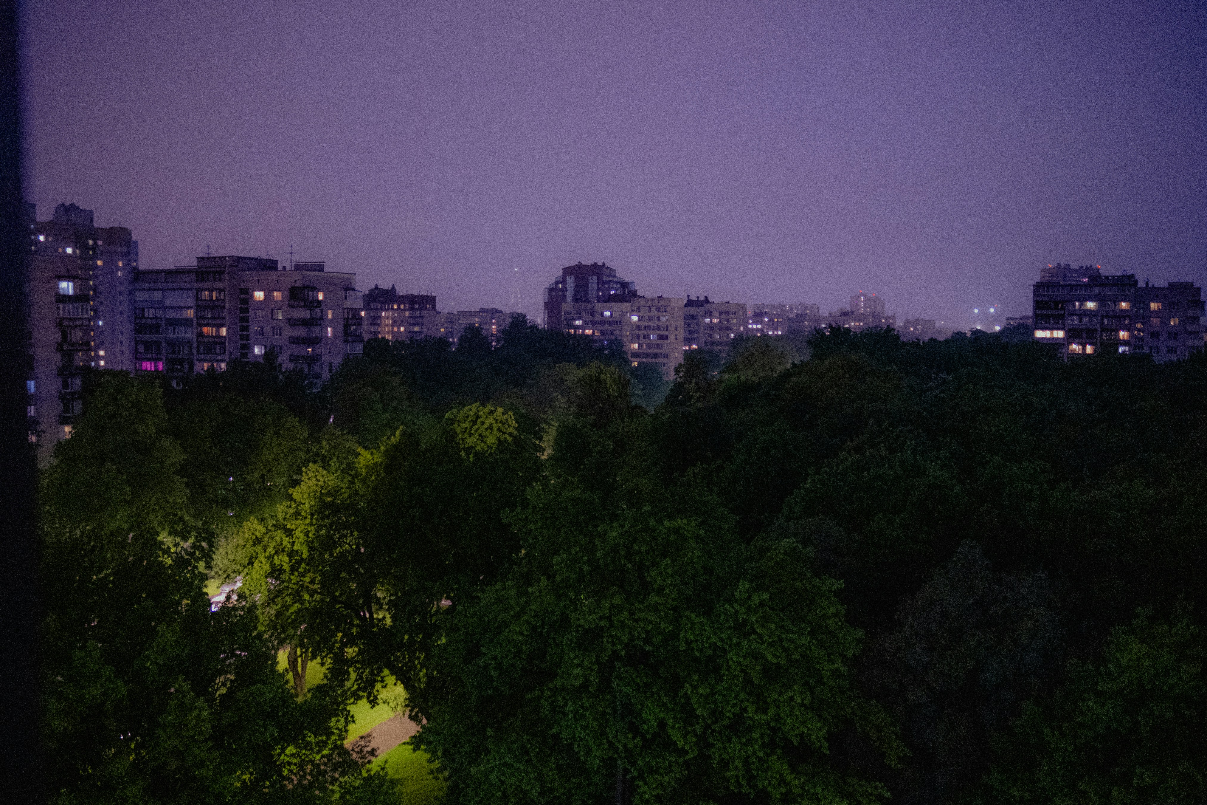 City Pulse Through Nightfall Canopy