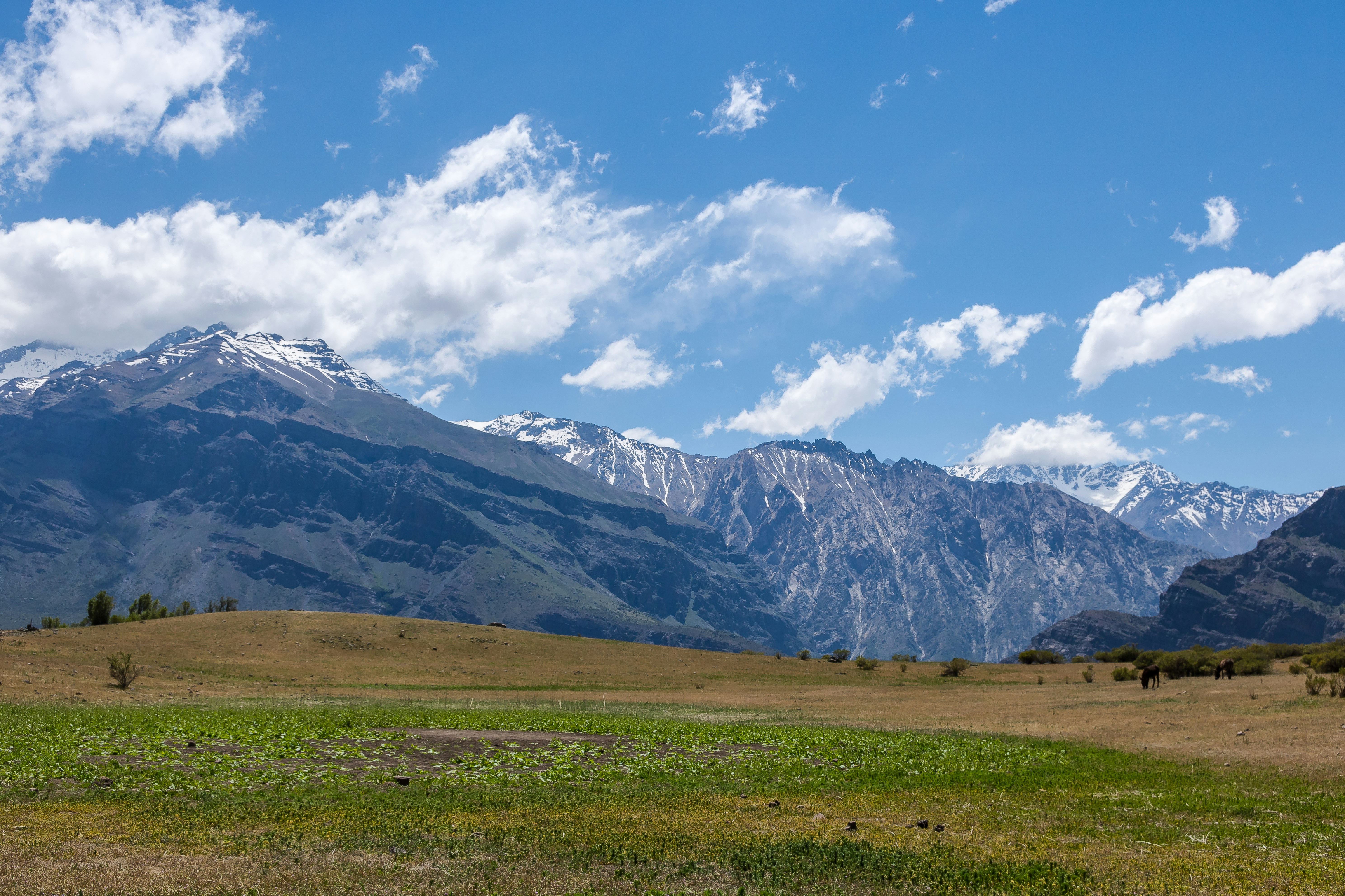 Snow-kissed Peaks Over a Grassland Sea