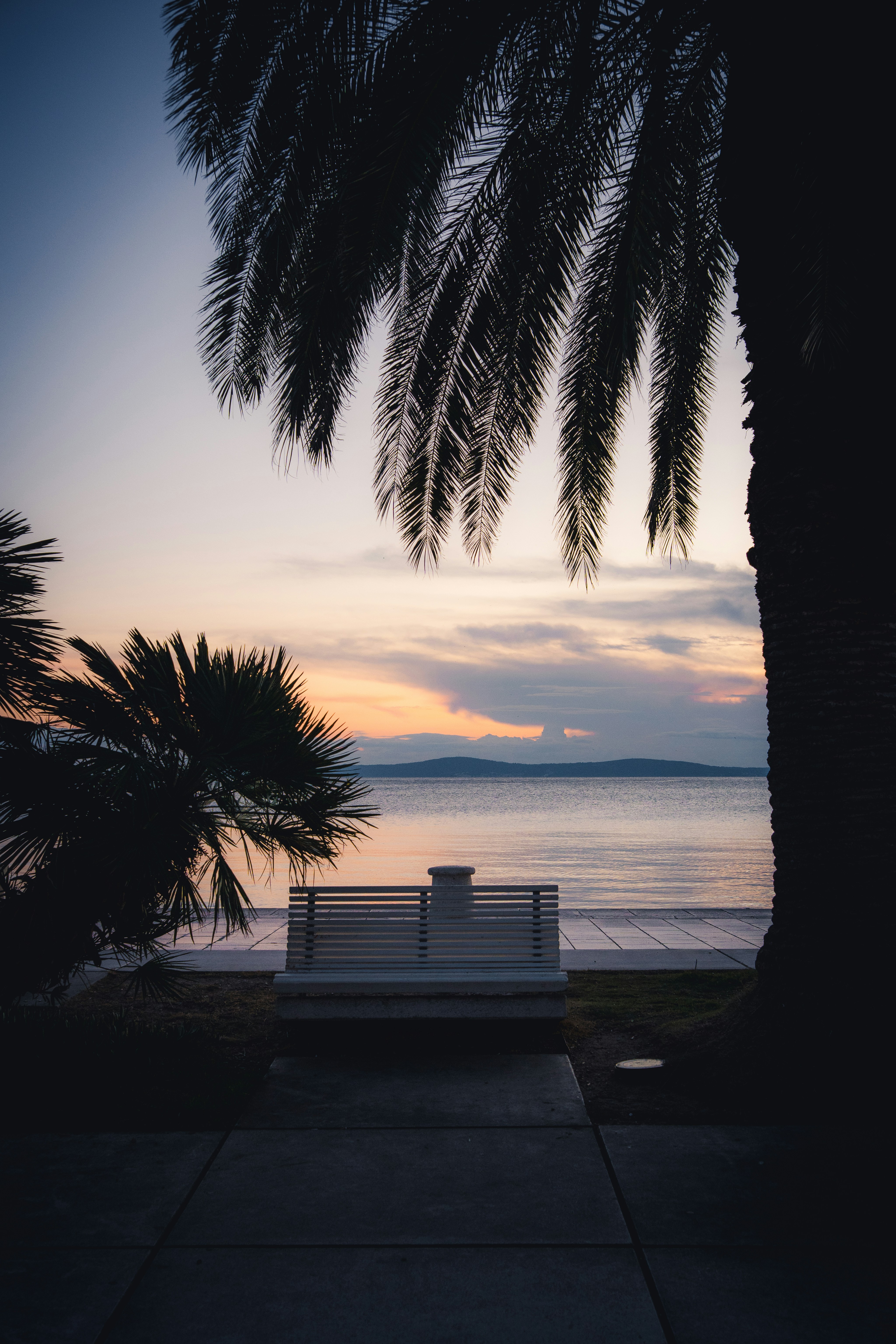 Sunset Terrace: Silent Seascape Framed by Palms