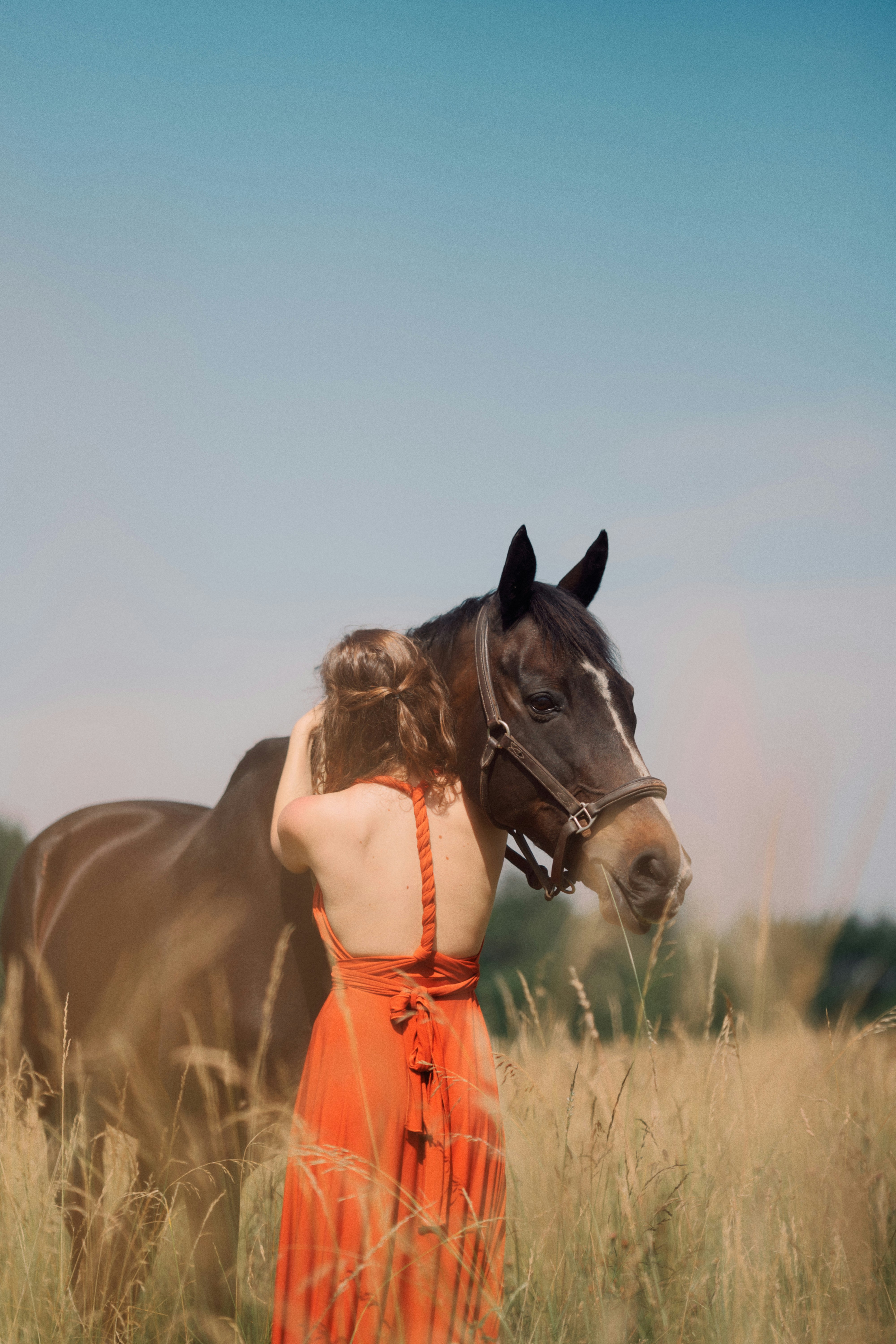 Red Dress by the Field: A Gentle Moment with a Horse