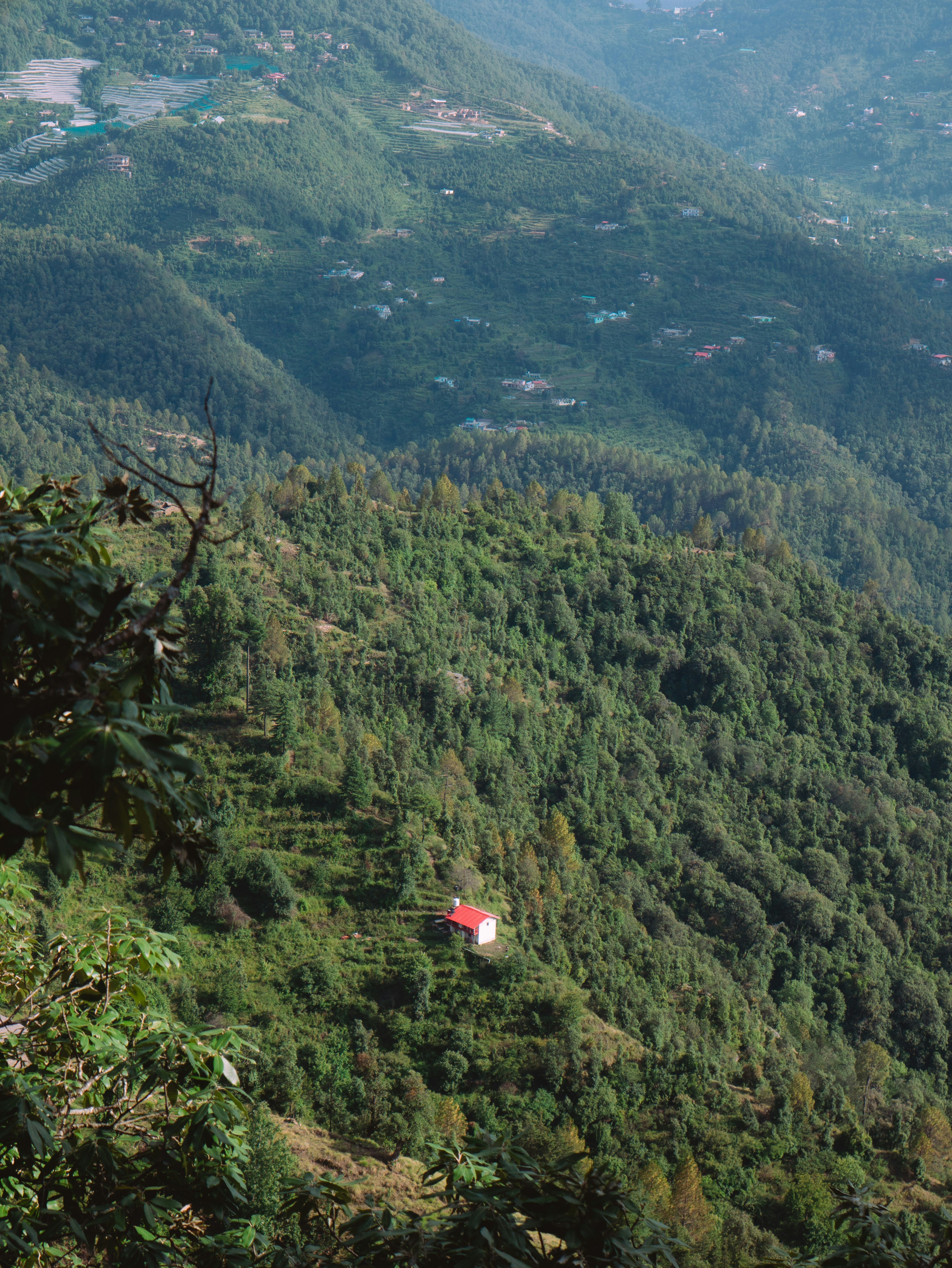 Red-roofed Cabin Amid Green Hills