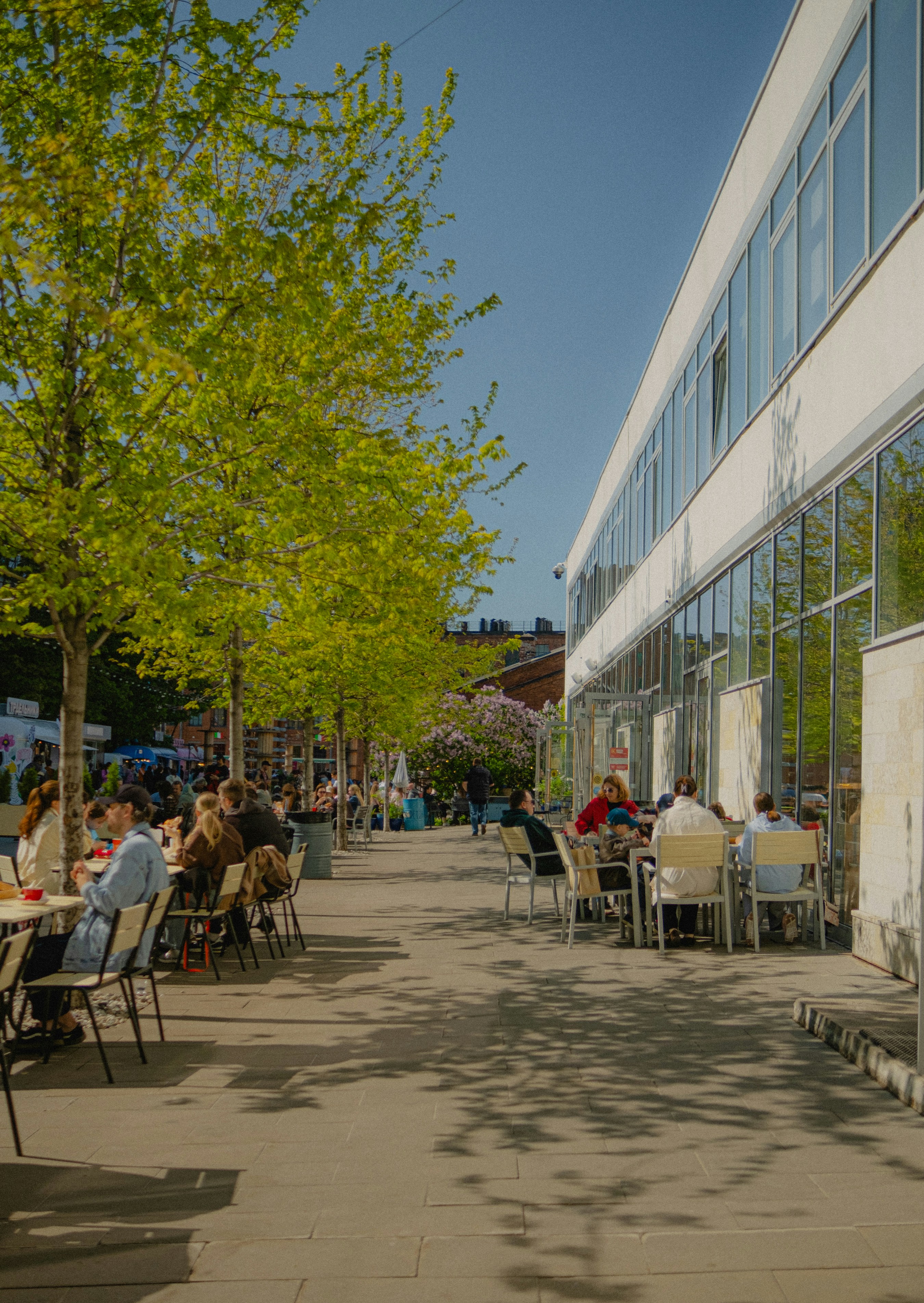 Sunlit Alfresco Chorus: Café Terrace Along a Modern Glass-Fronted Building