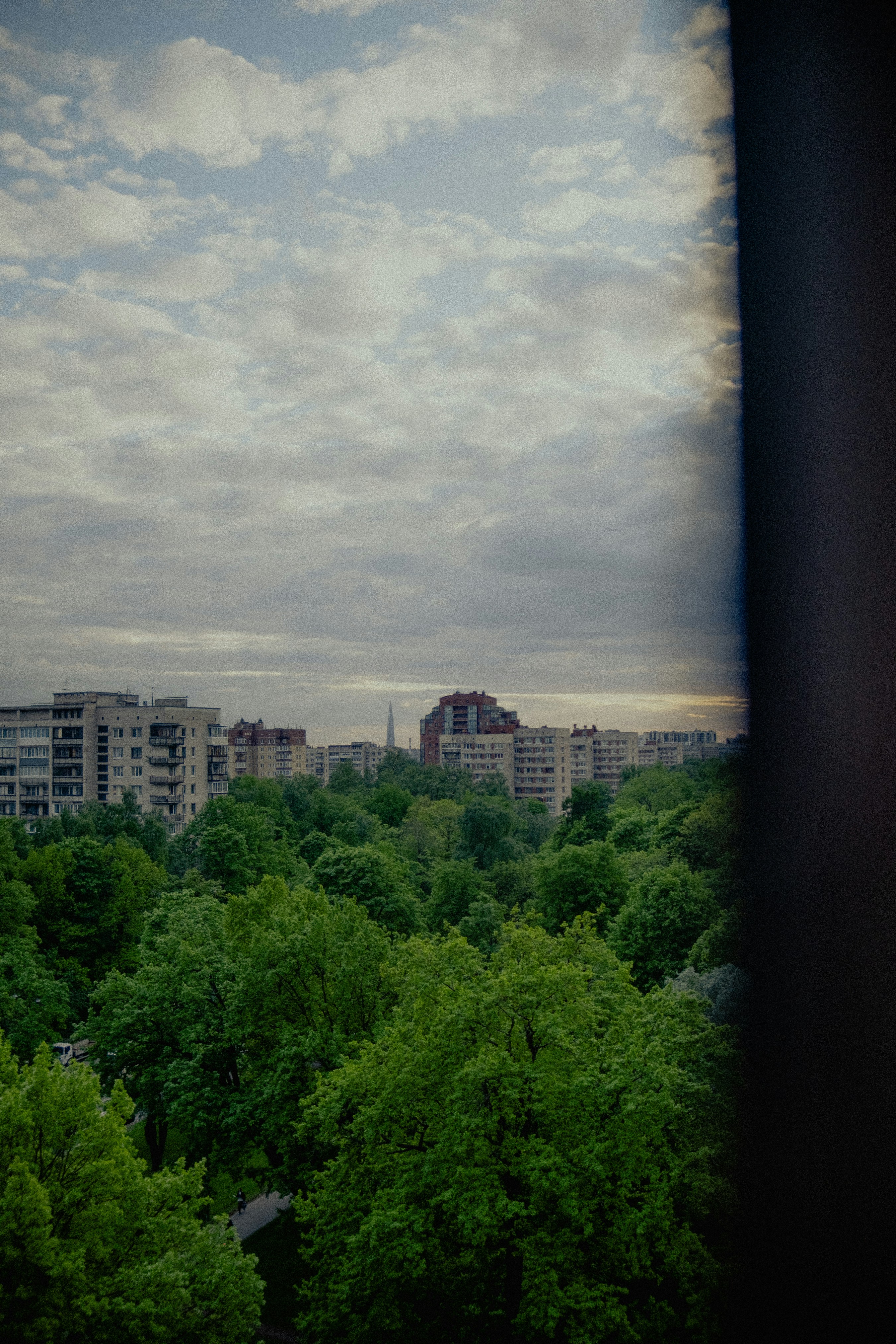 Green canopy over a distant cityscape framed by window edge