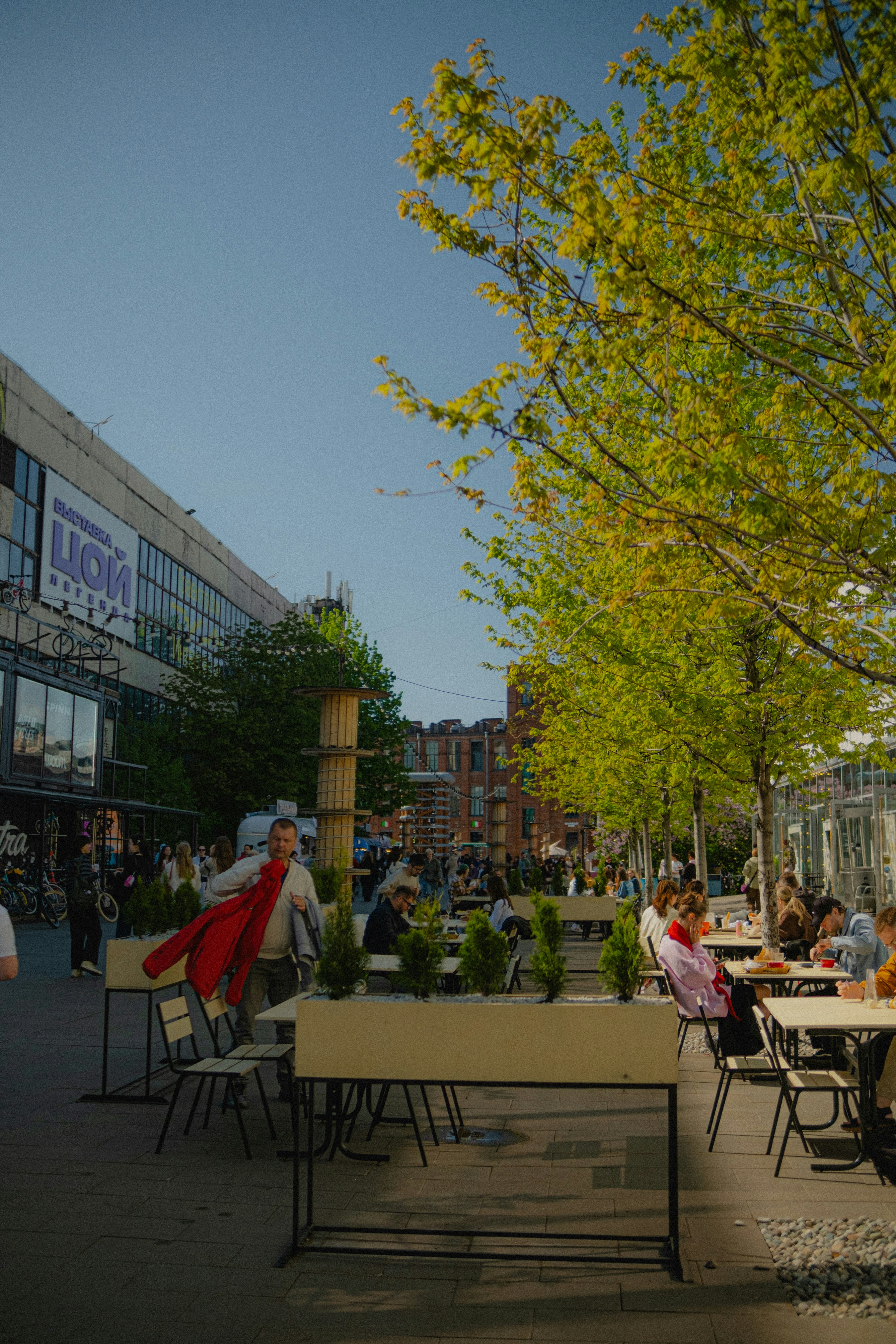 Café Terrace Under a Spring Canopy