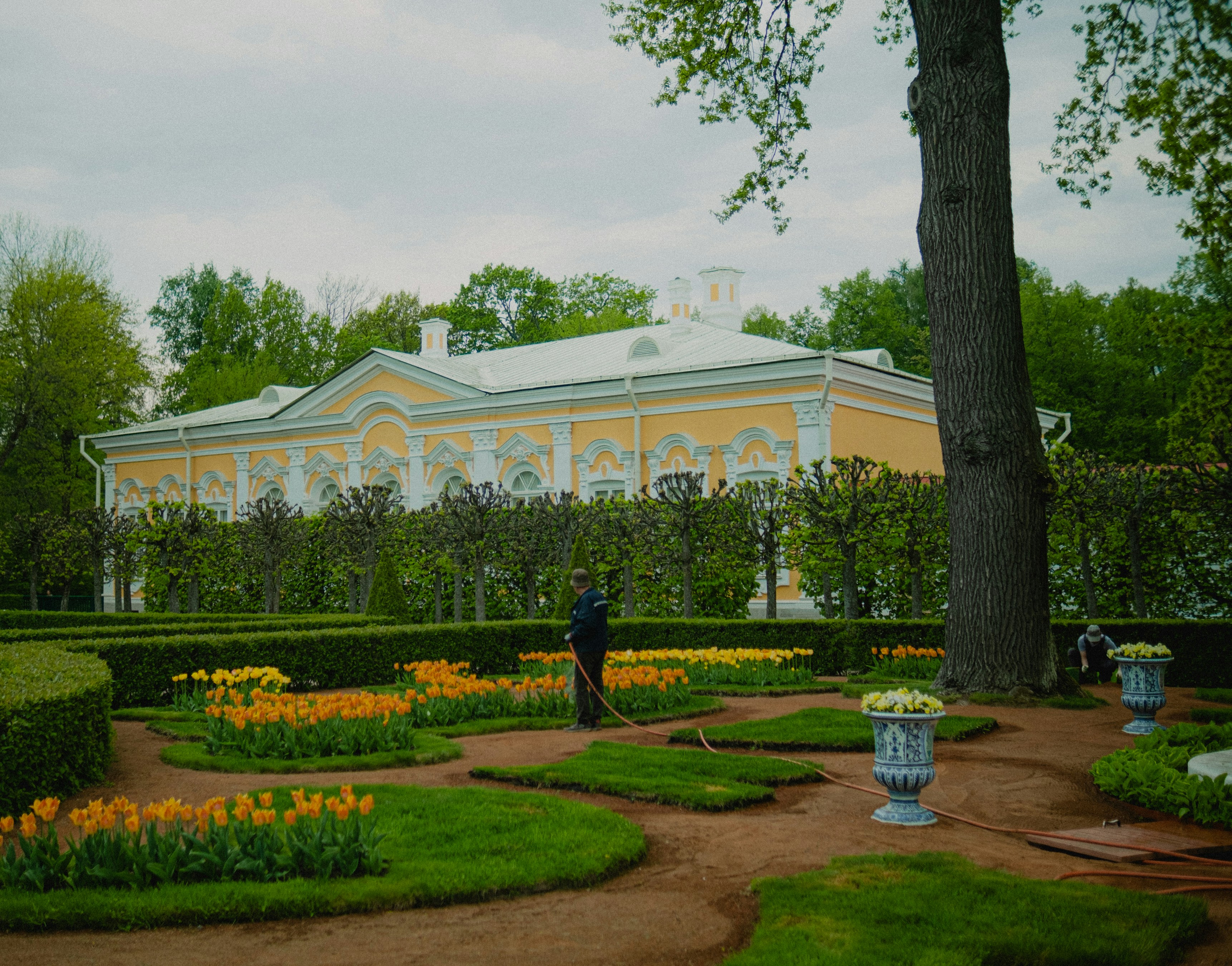 Gardens in Bloom Before the Sunlit Manor