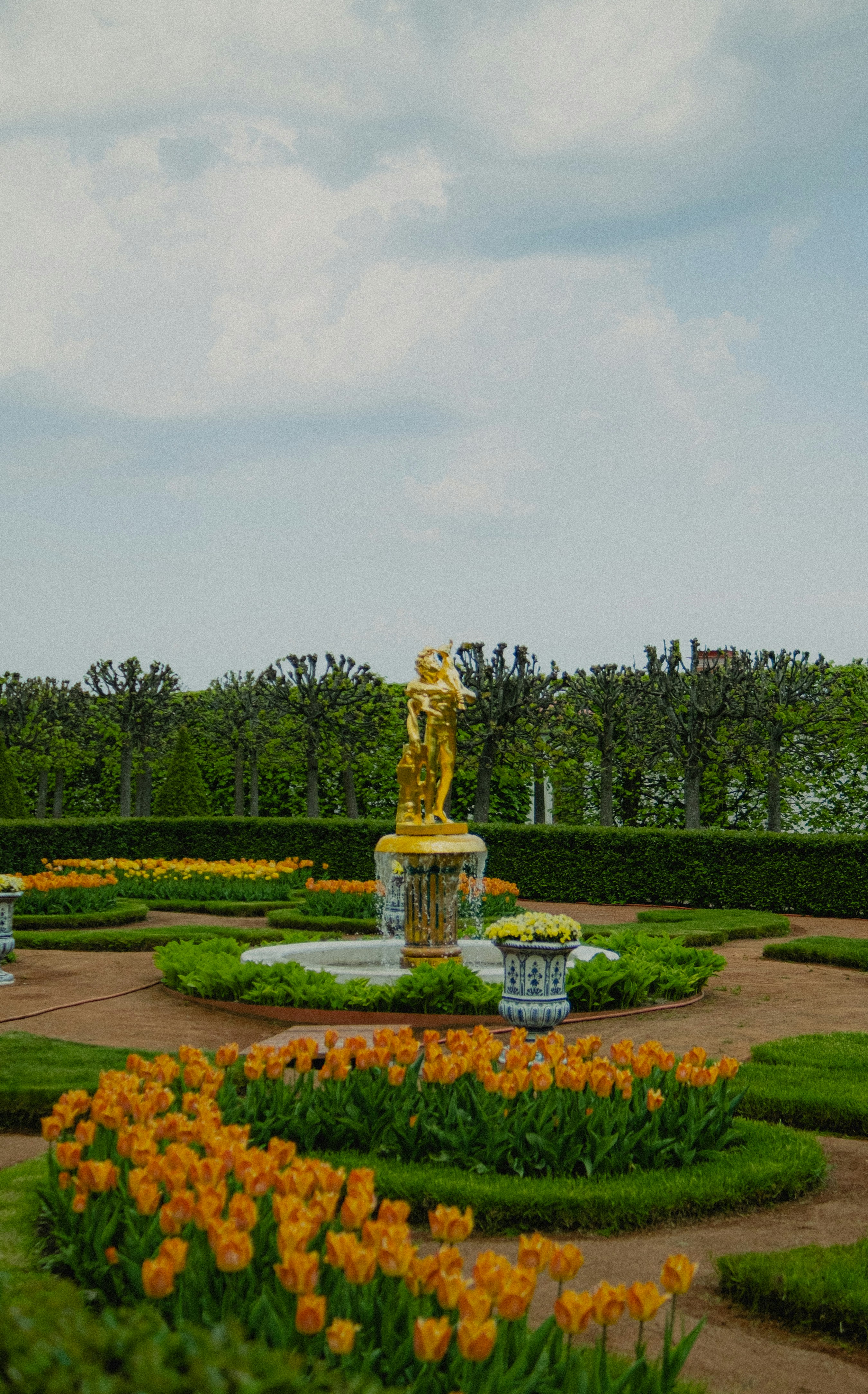 Golden Fountain Amid Spring Tulips in a Formal Garden