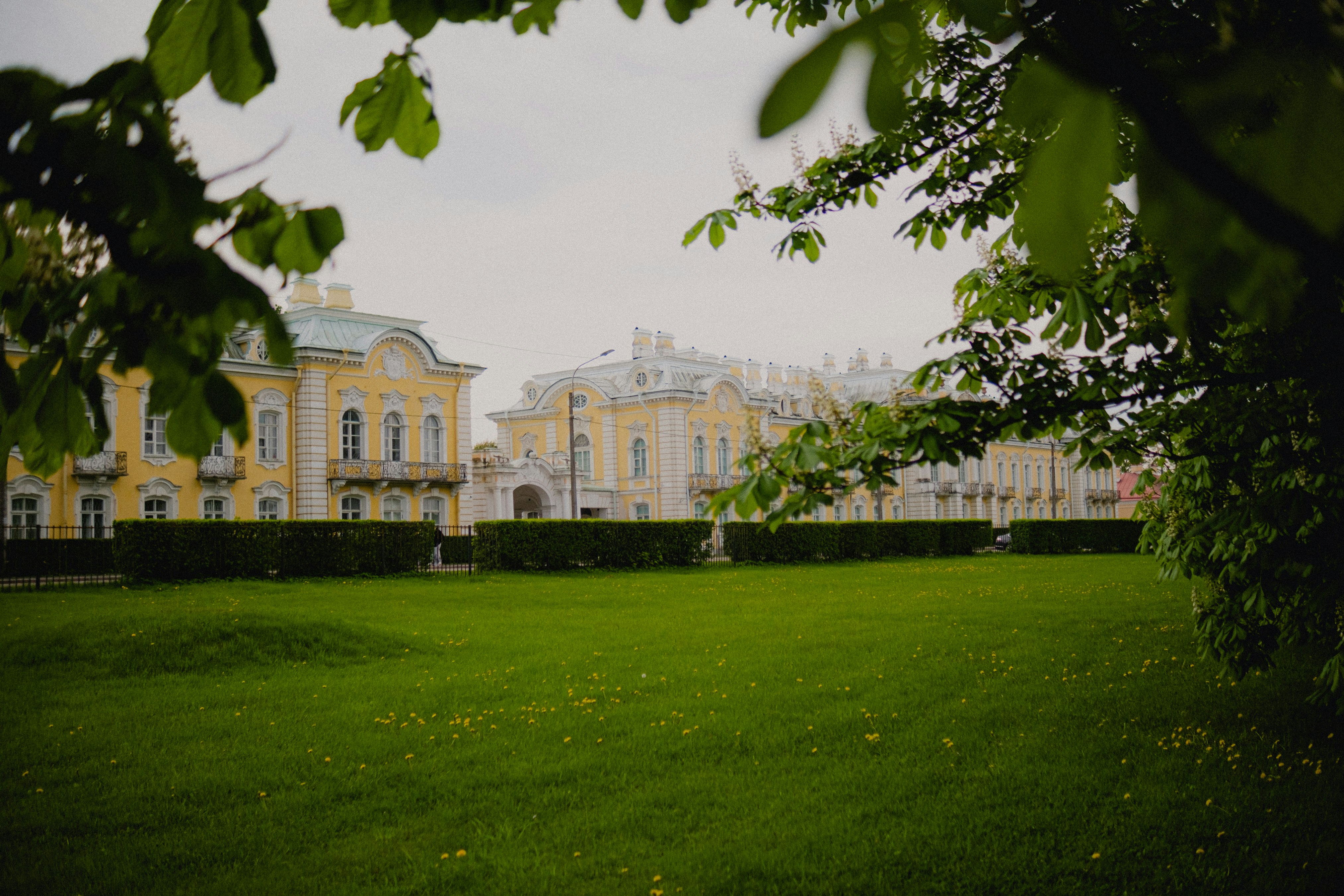 Sunlit Baroque Campus Through Framing Foliage