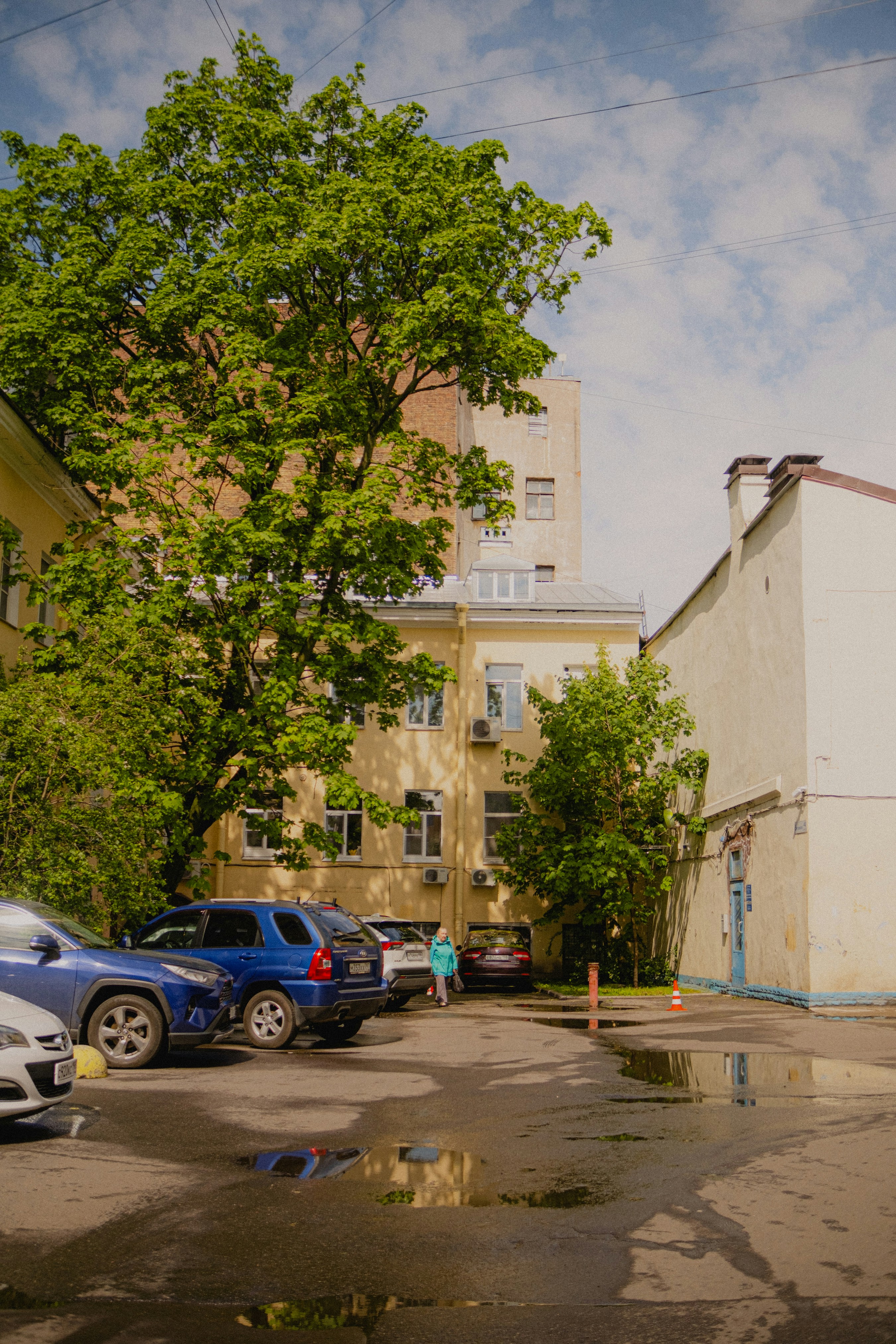 Green Canopy Over Quiet Parking Courtyard