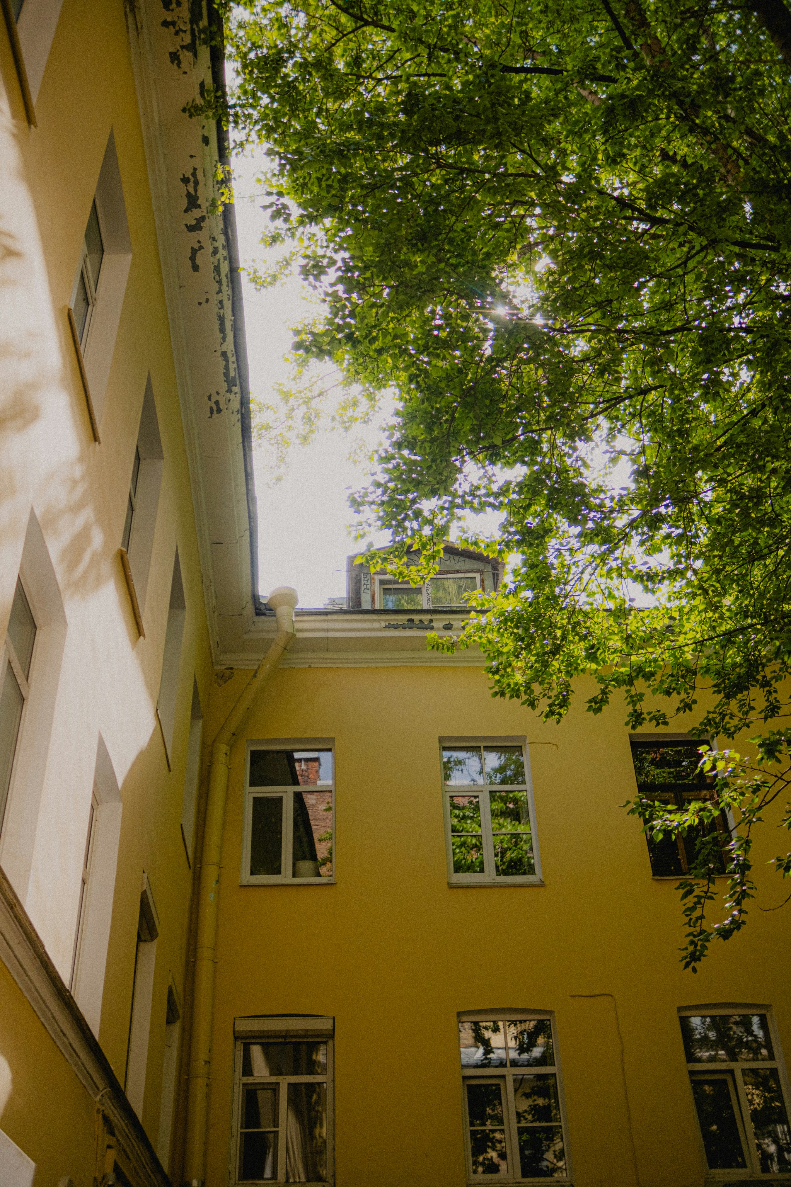 Yellow Courtyard Gable: Sunlit Windows Among Green Canopy