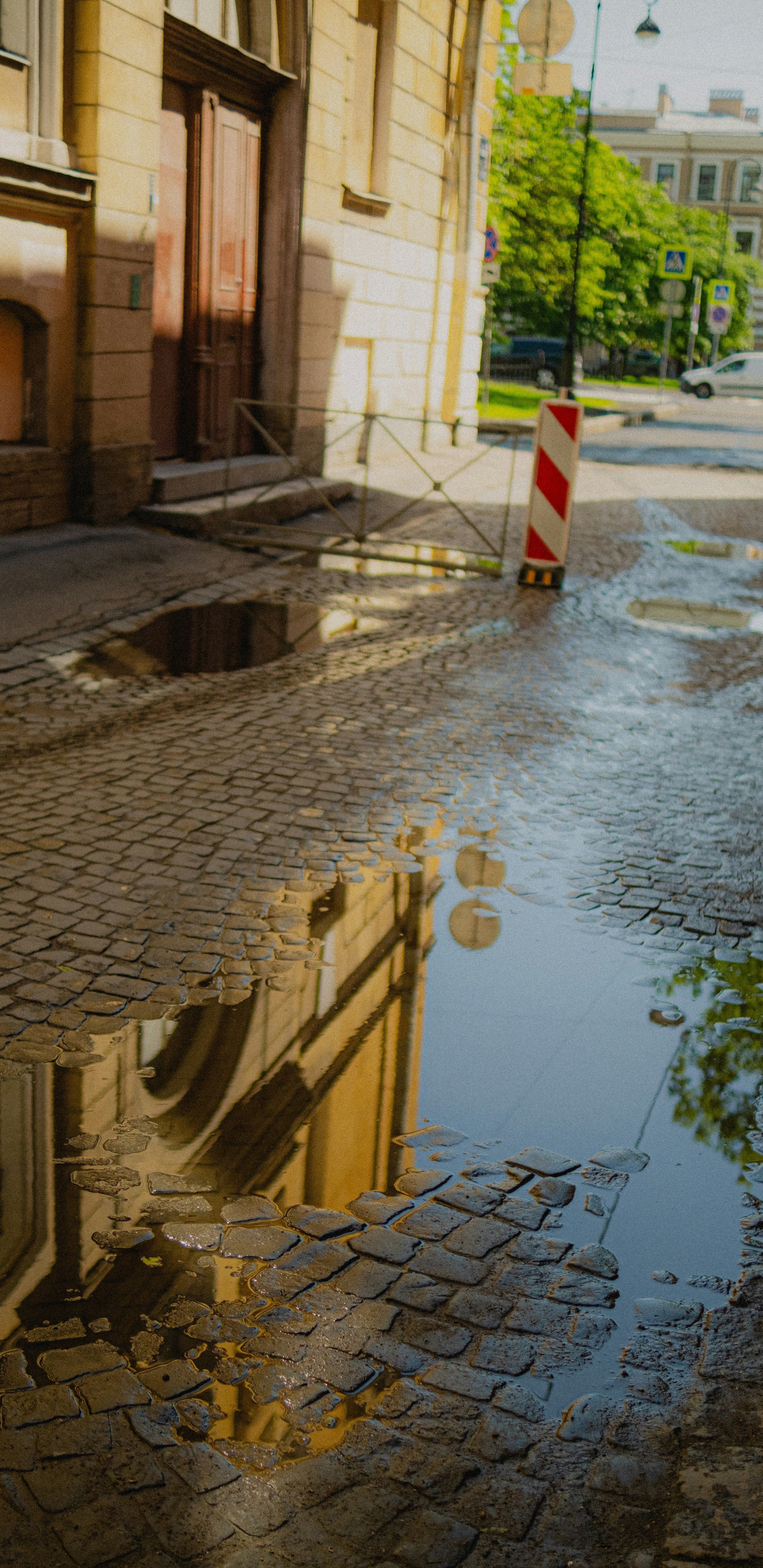 Reflections on a Cobblestone Street