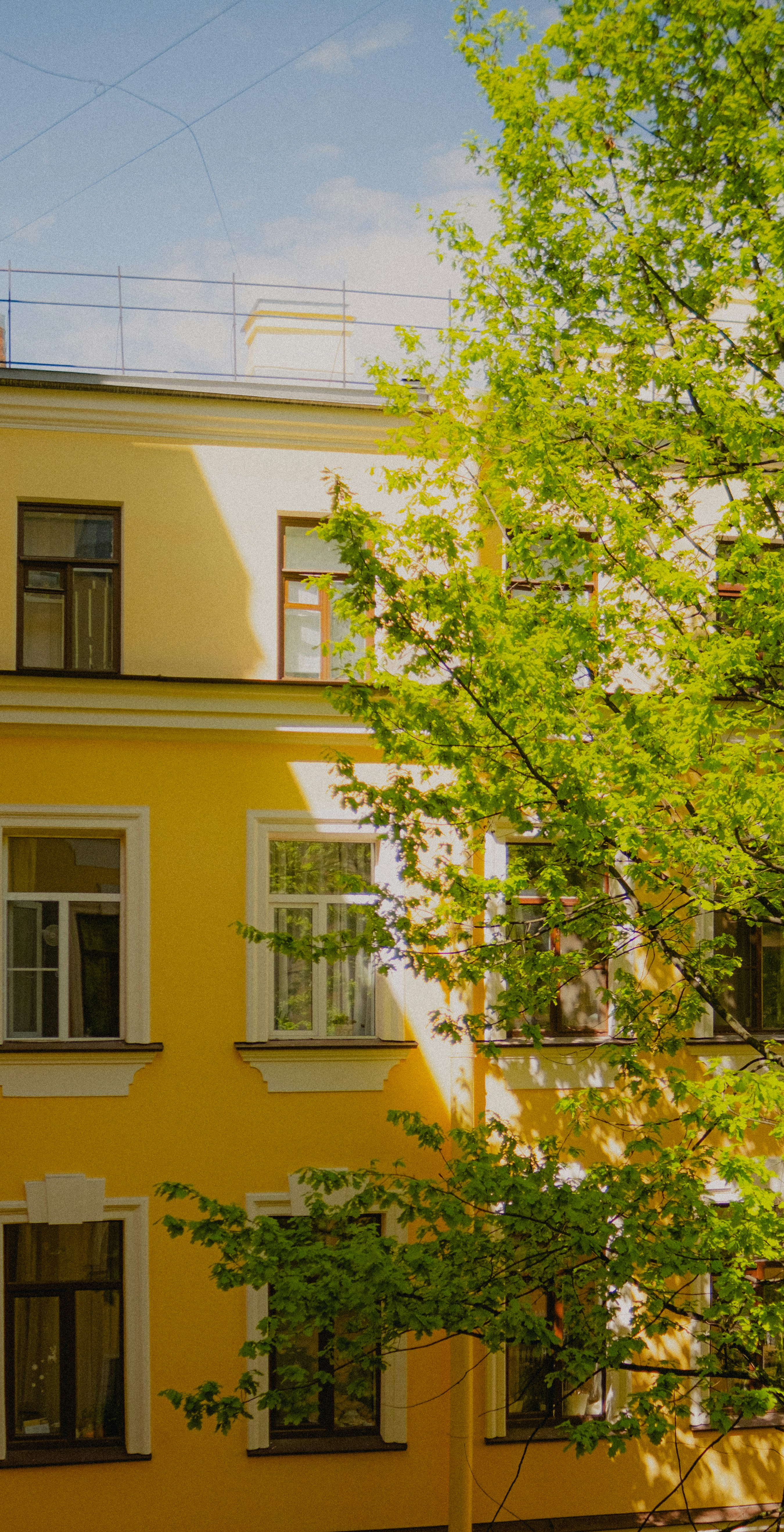Sunlit Yellow Façade and Verdant Shade