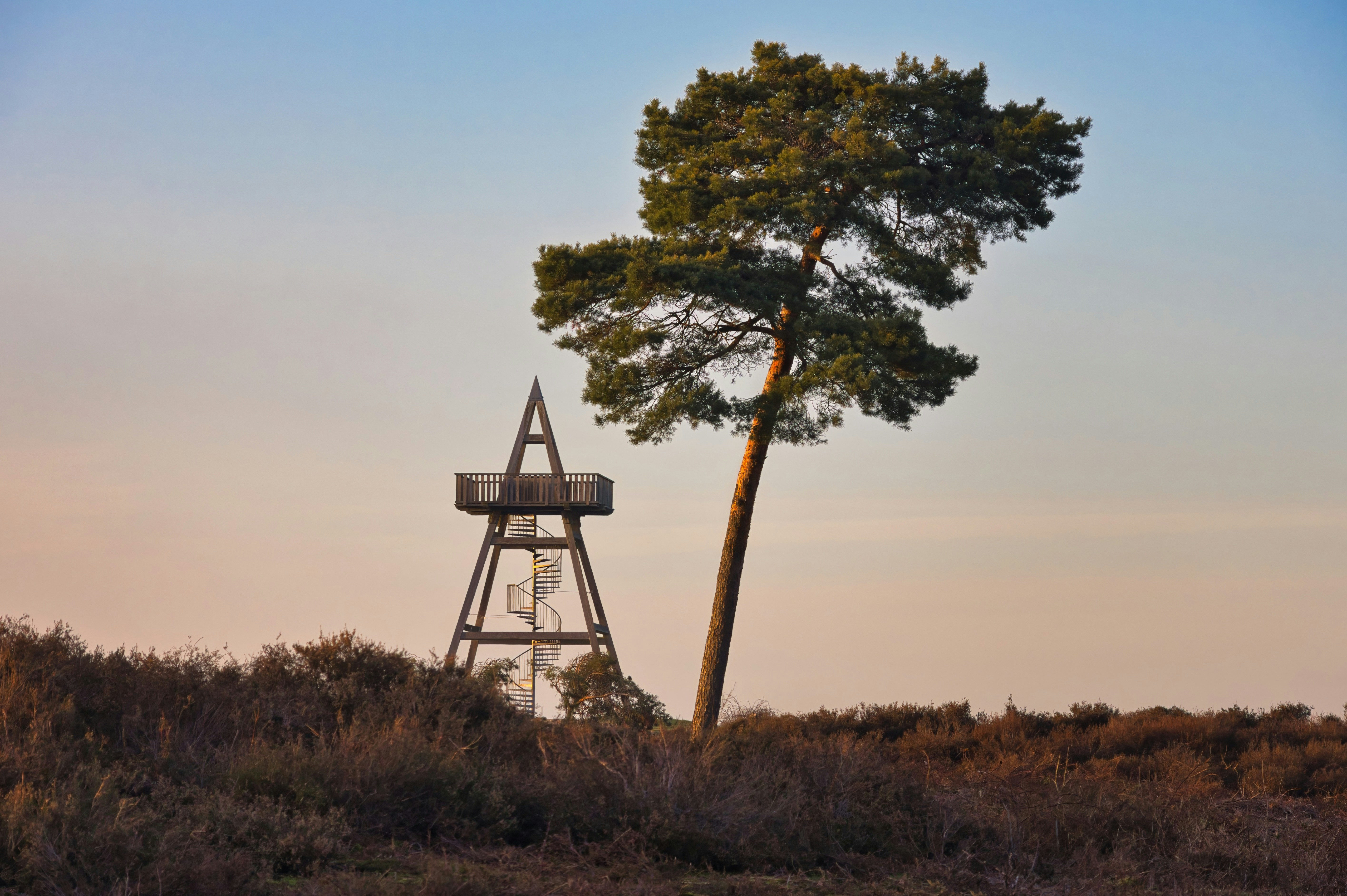 Lone Lookout Guarding the Dune Horizon