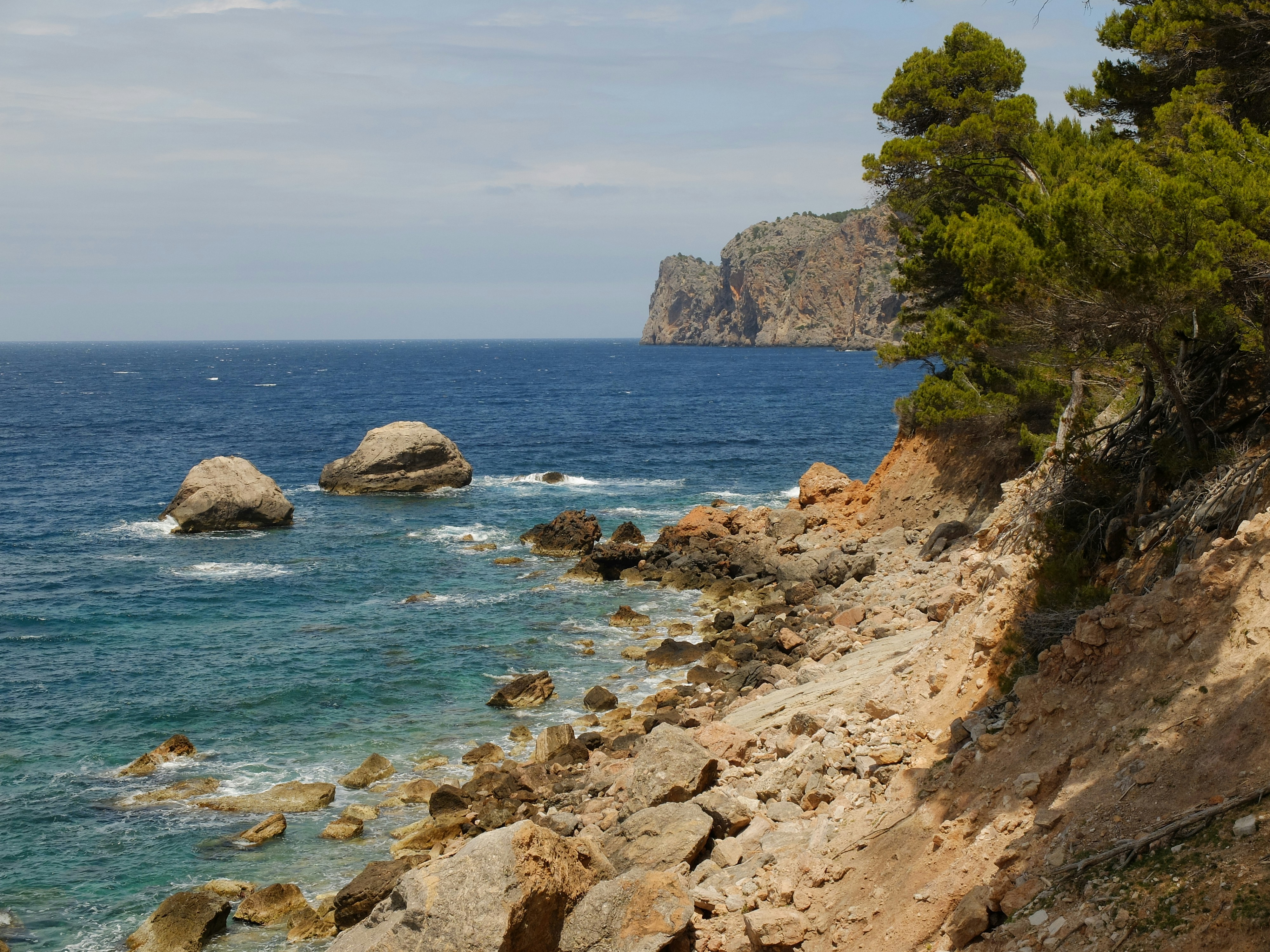 Rugged coastline under a blue dome with pines on the cliff