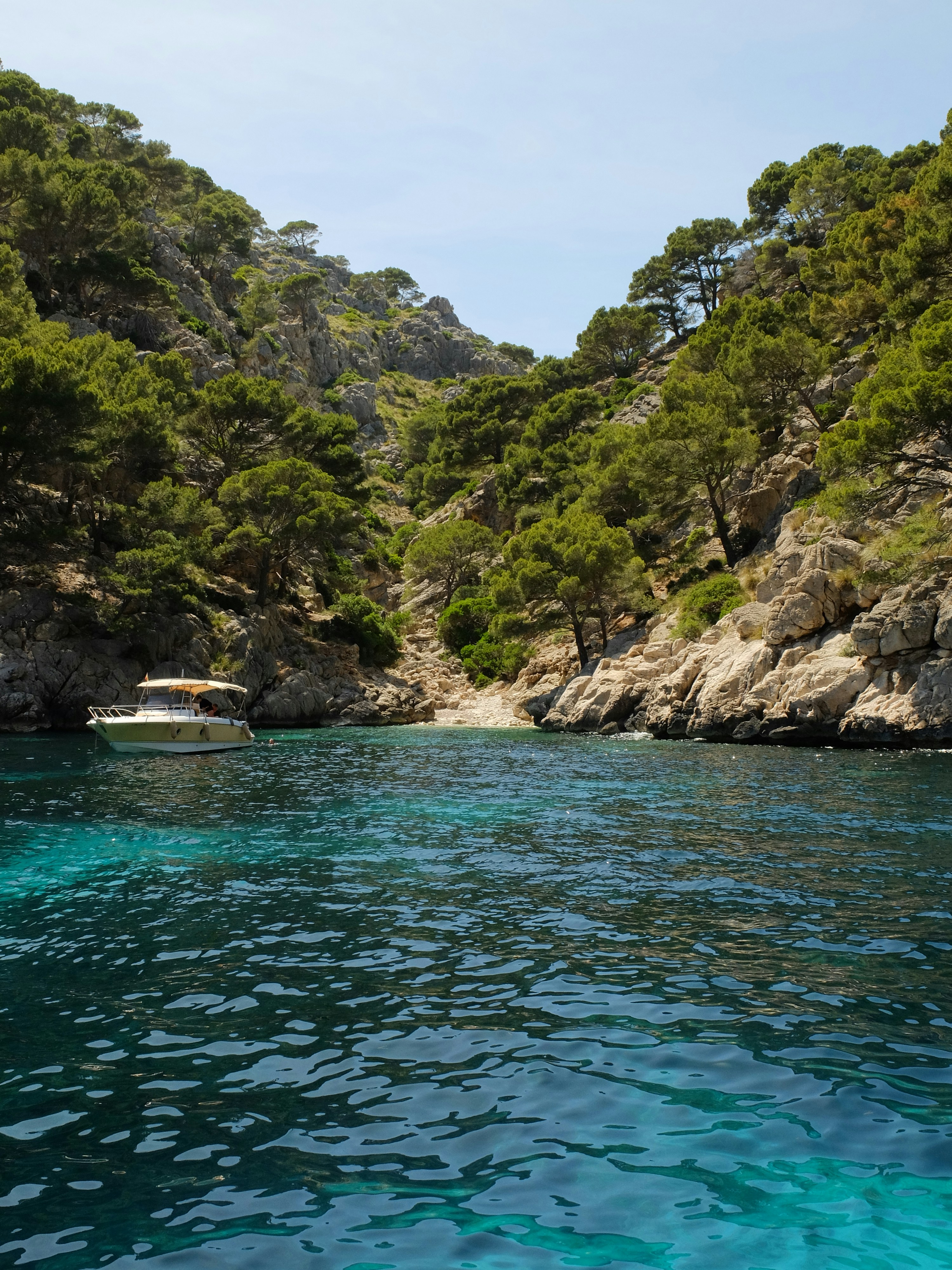 Emerald Cove: Boat Resting Beneath Pine-Crowned Cliffs