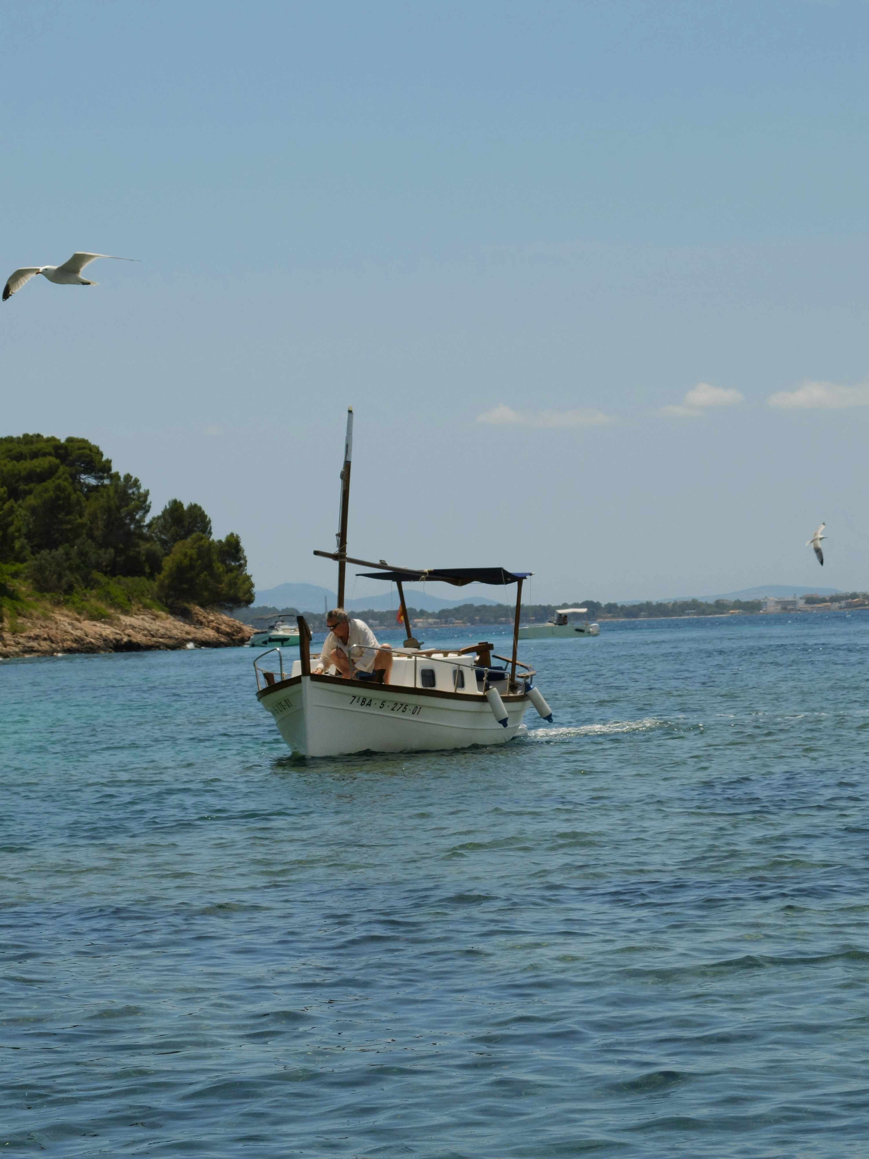 A white motorboat cruises through calm blue waters near a rocky coastline with distant hills; seagulls glide above, and passengers enjoy the day. A simple maritime scene captured in natural light.