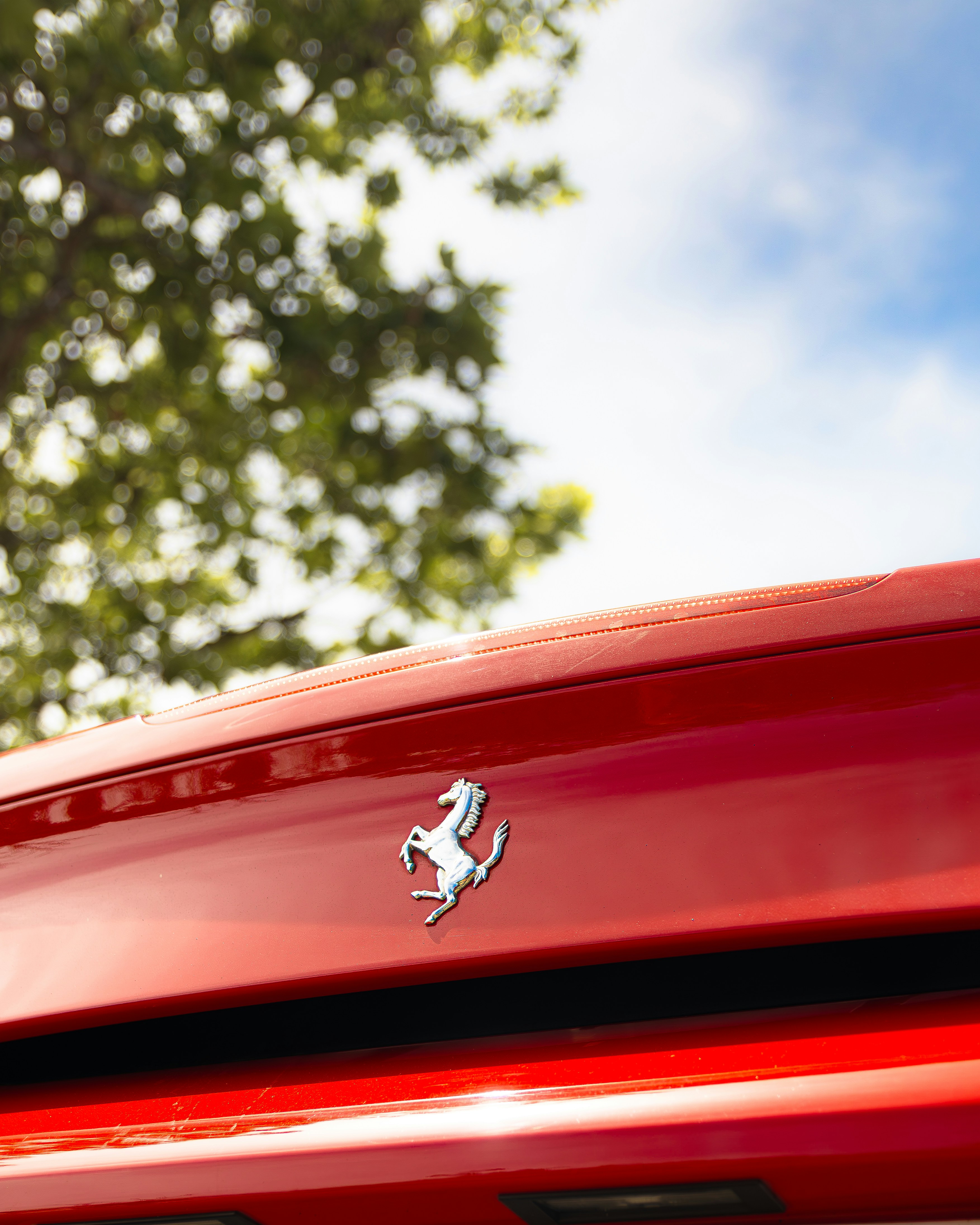 Crimson Stallion Emblem: A Car Hood Portrait