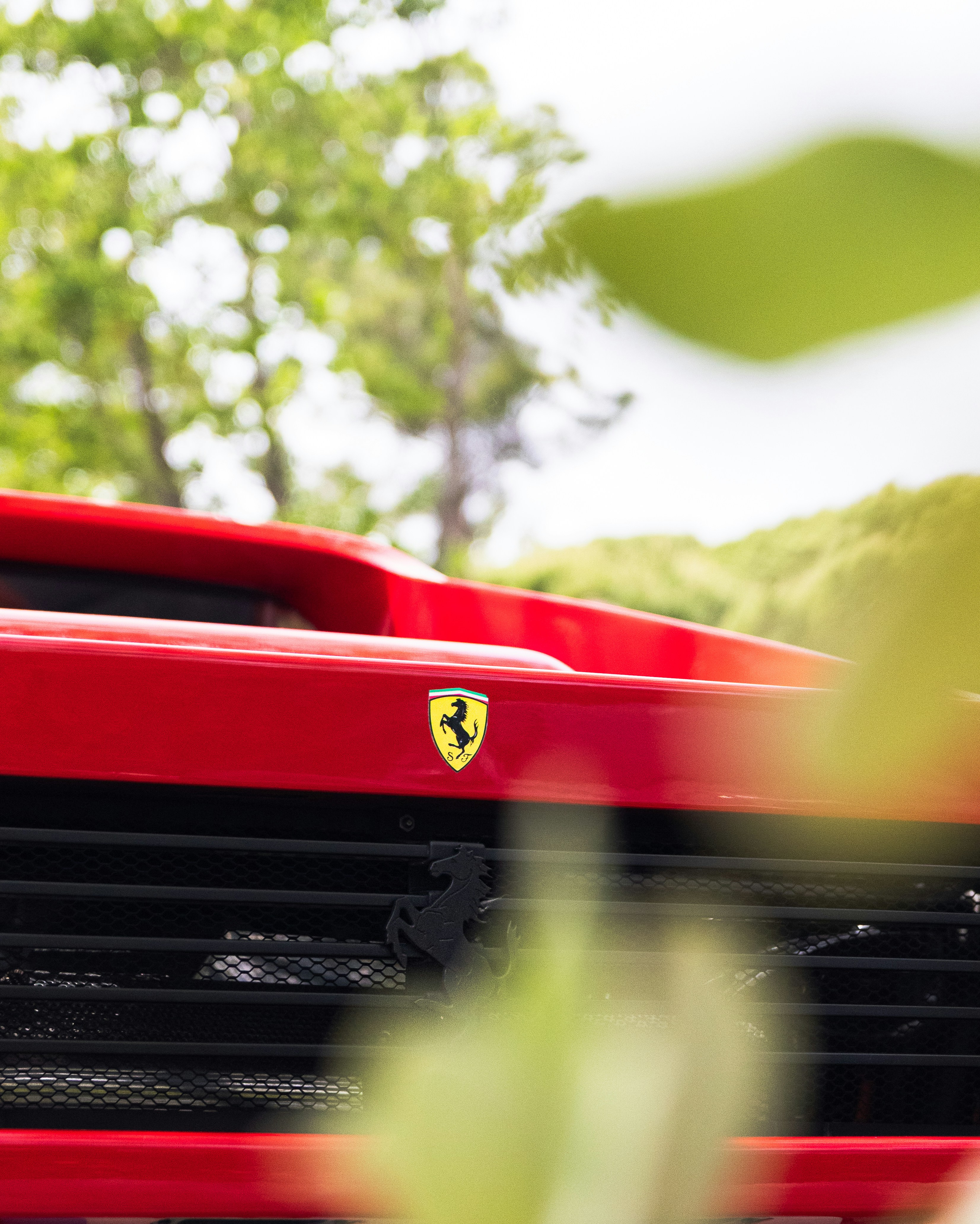 Ferrari Red Crest: A Partial Glimpse of the Prancing Horse